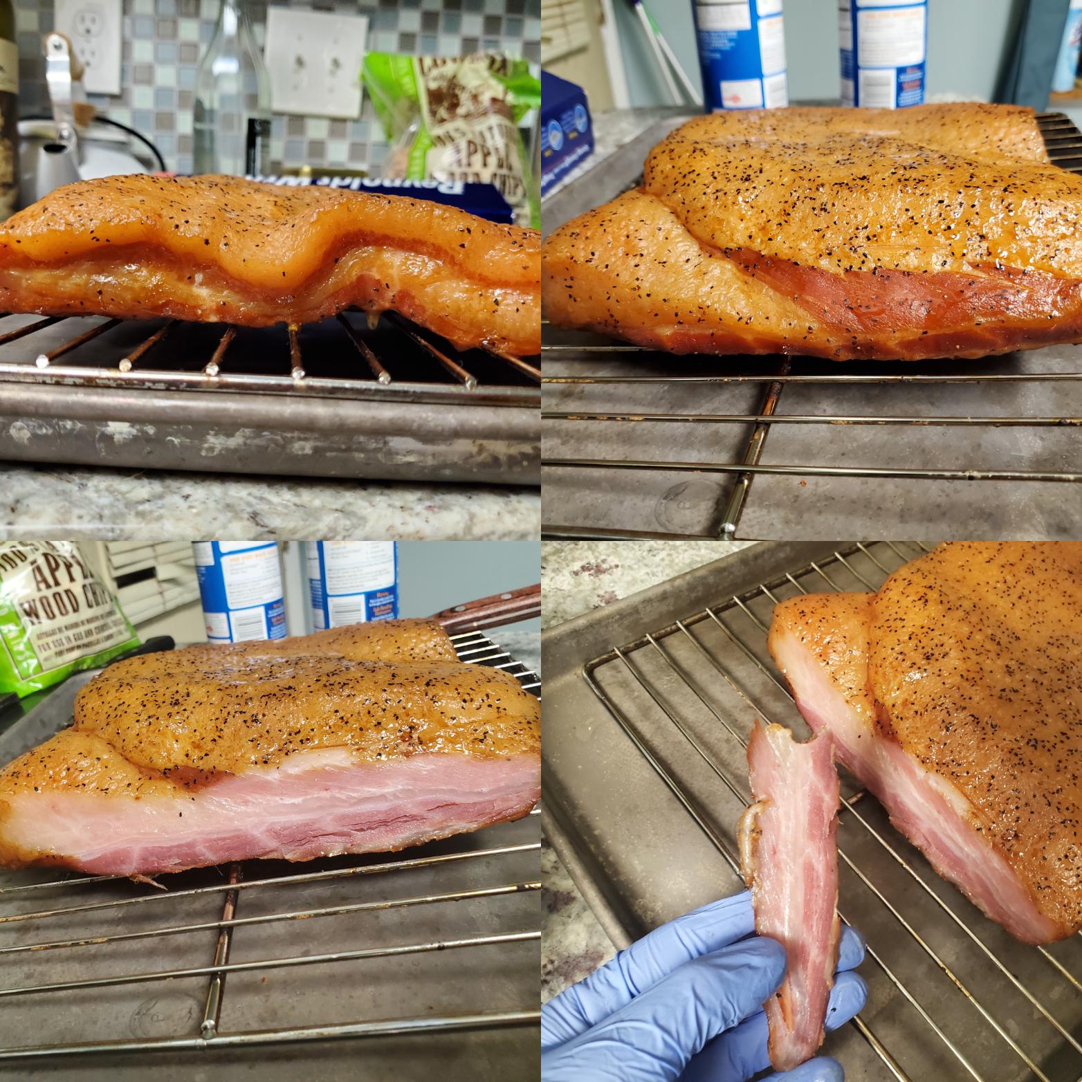 First attempt at bacon went very well. | Scrolller