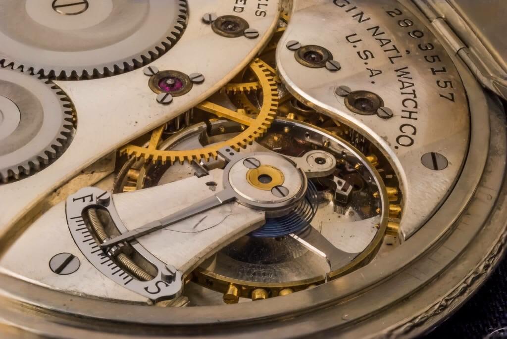 First attempt at focus stacking, seven images. | Scrolller