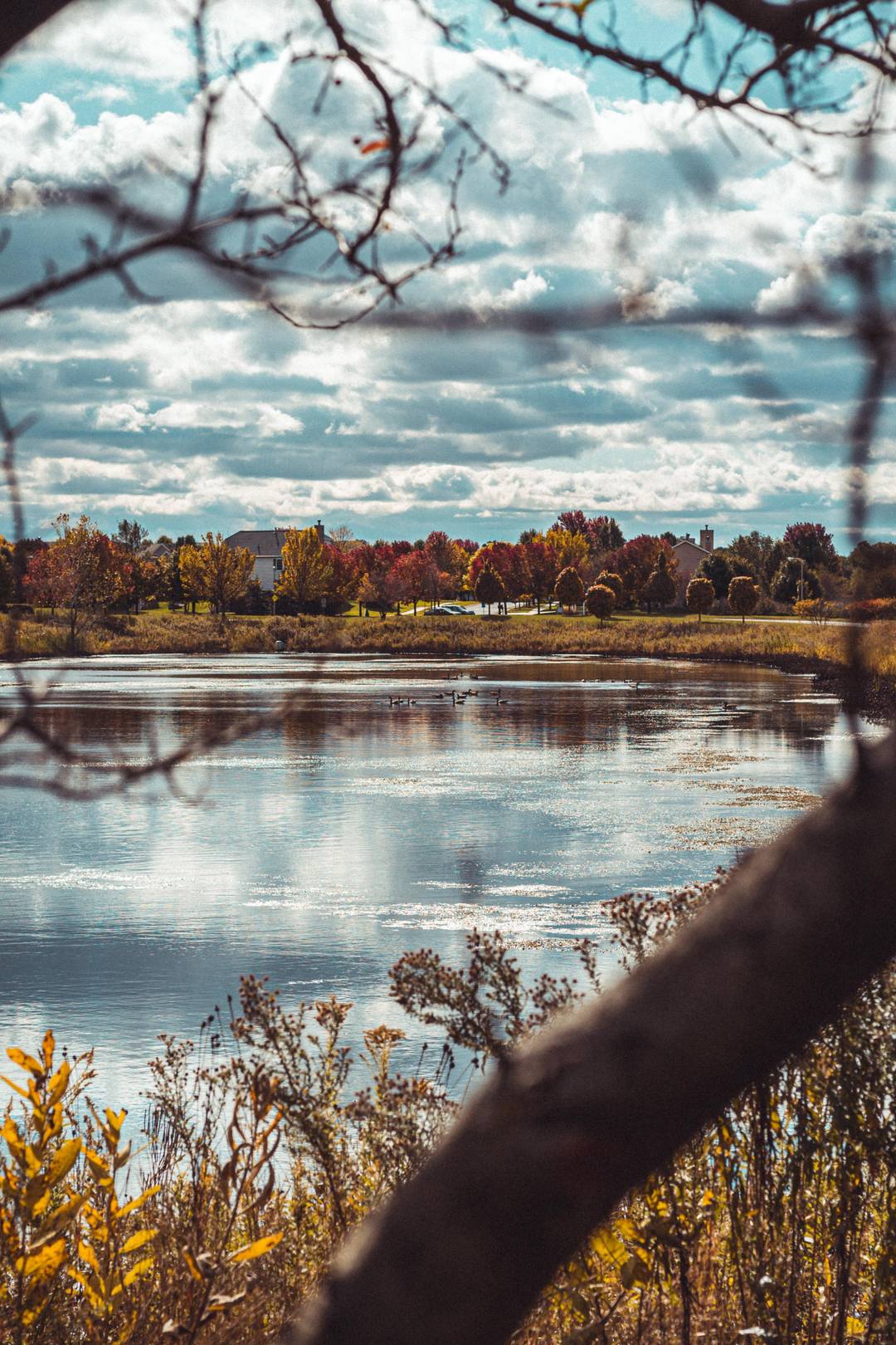 First attempt at framing | Scrolller