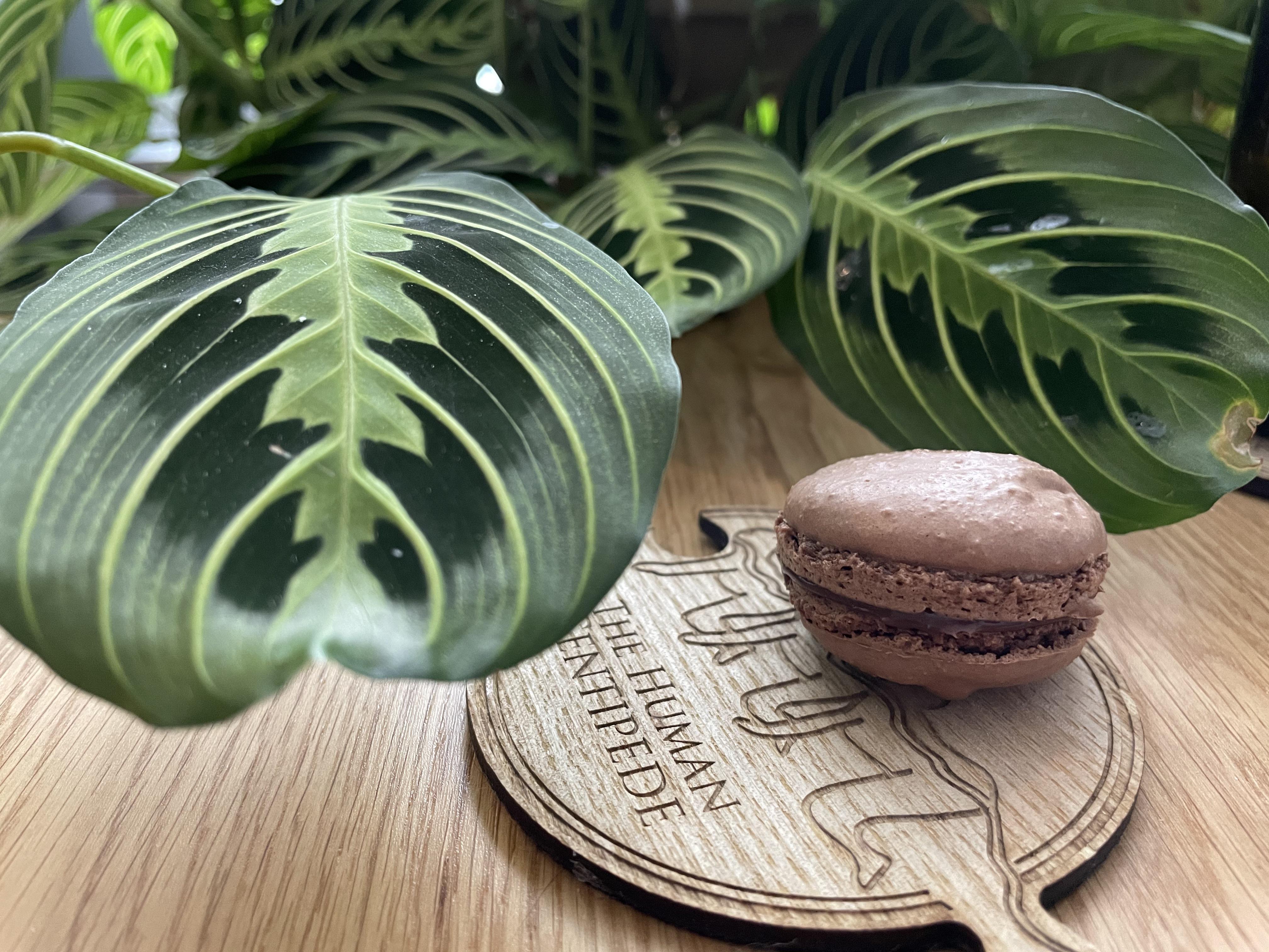 First attempt at macarons. This was the best one. | Scrolller