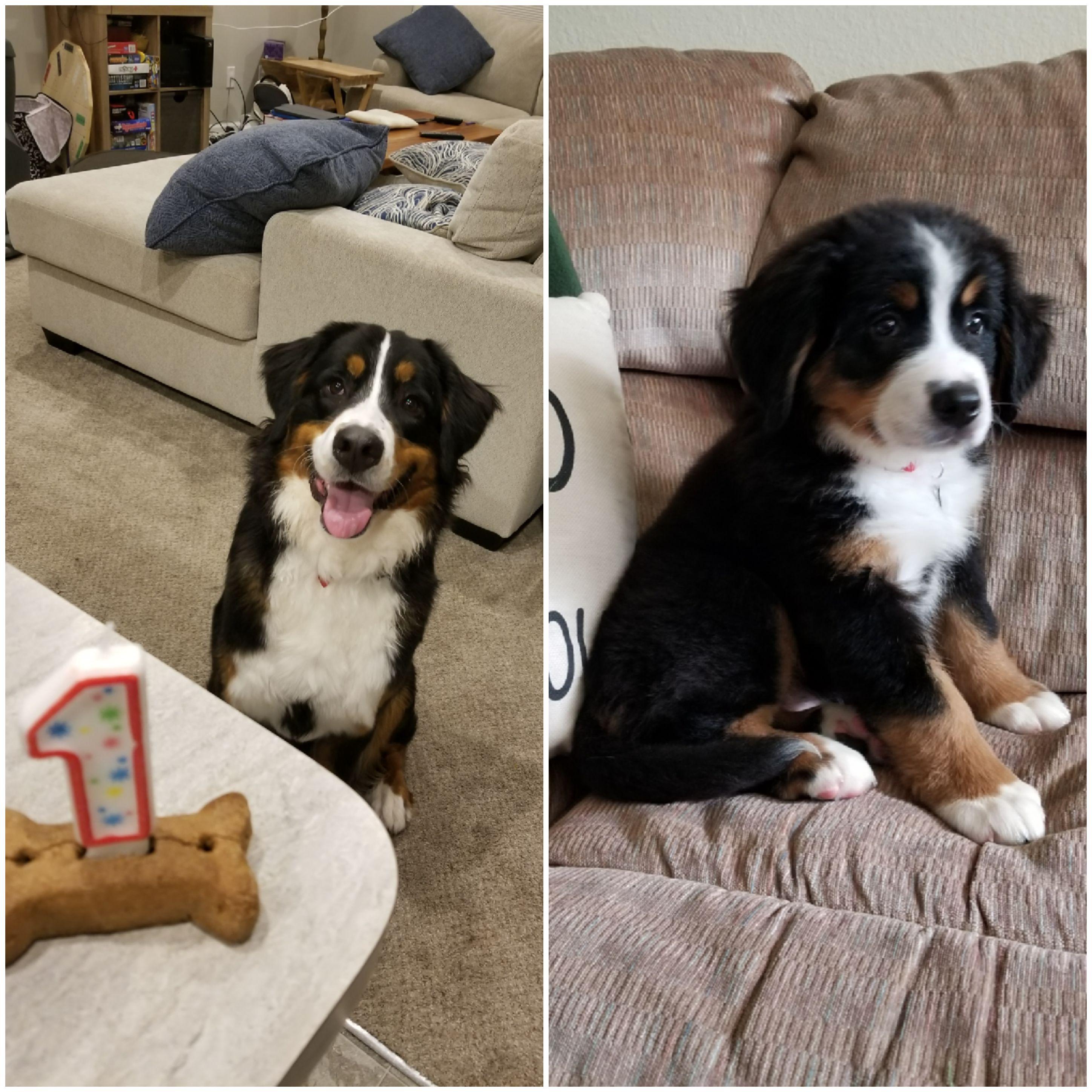 First Cake Day! | Scrolller