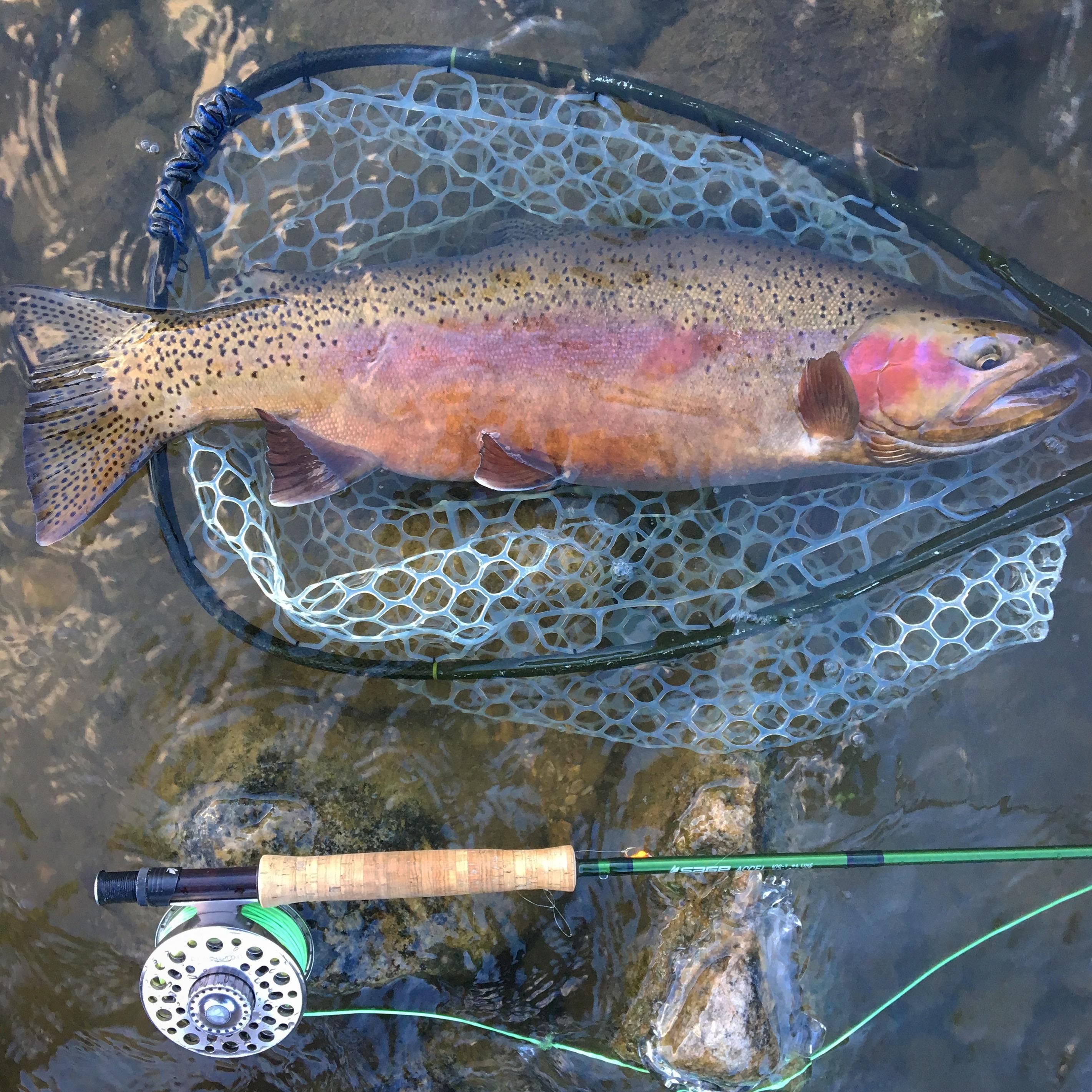 First Cast. | Scrolller