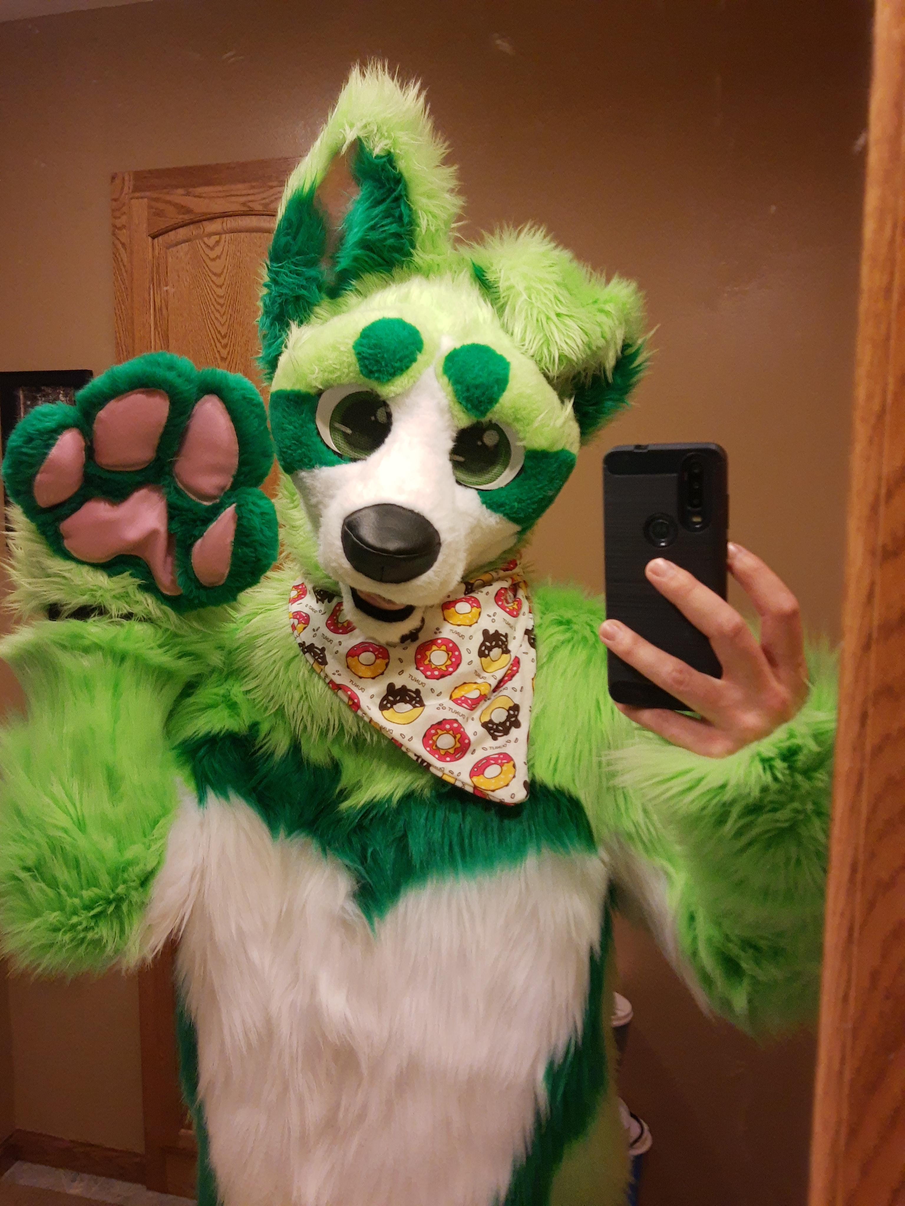 First fursuit Friday! | Scrolller