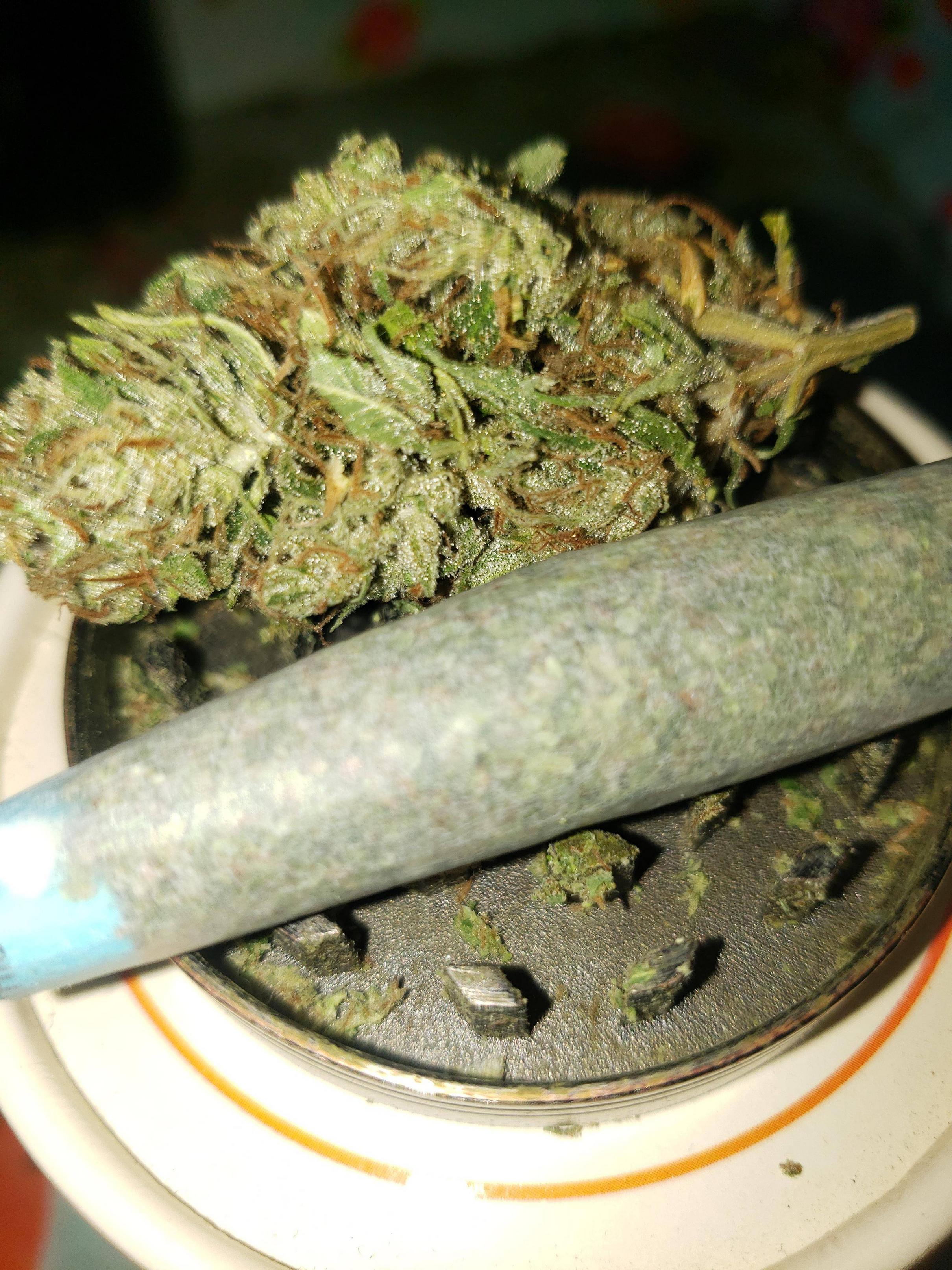 First grow :) feels good man. Stay elevated friends. | Scrolller