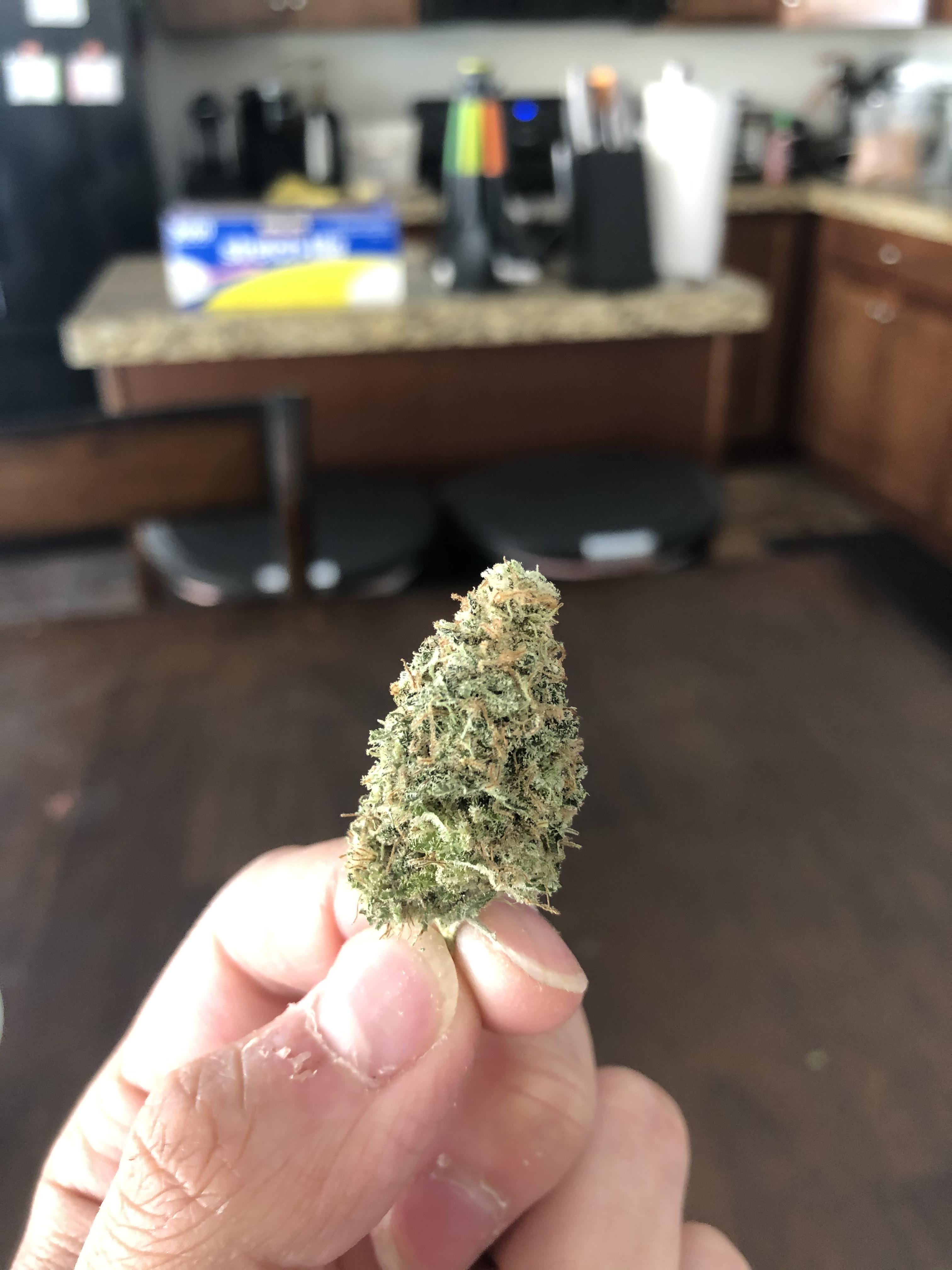 First grow, I finally did it! | Scrolller