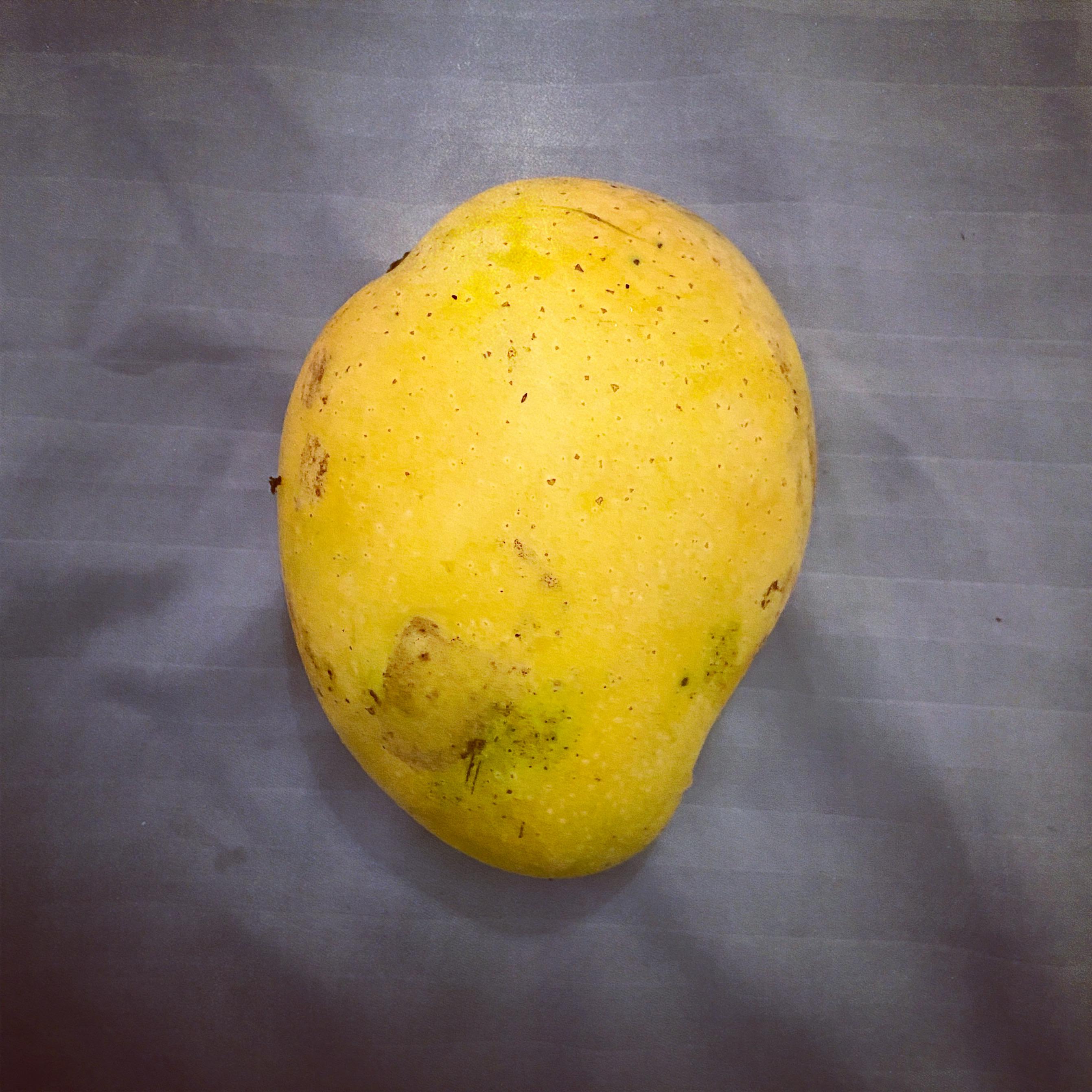 First Mango 🥭 in our home | Scrolller