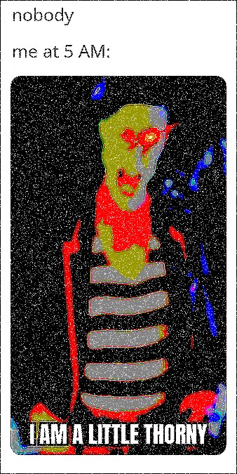 First nuked meme:) | Scrolller