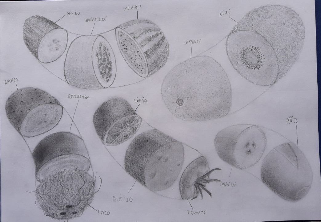 First page of the dissection exercise (pencil) | Scrolller