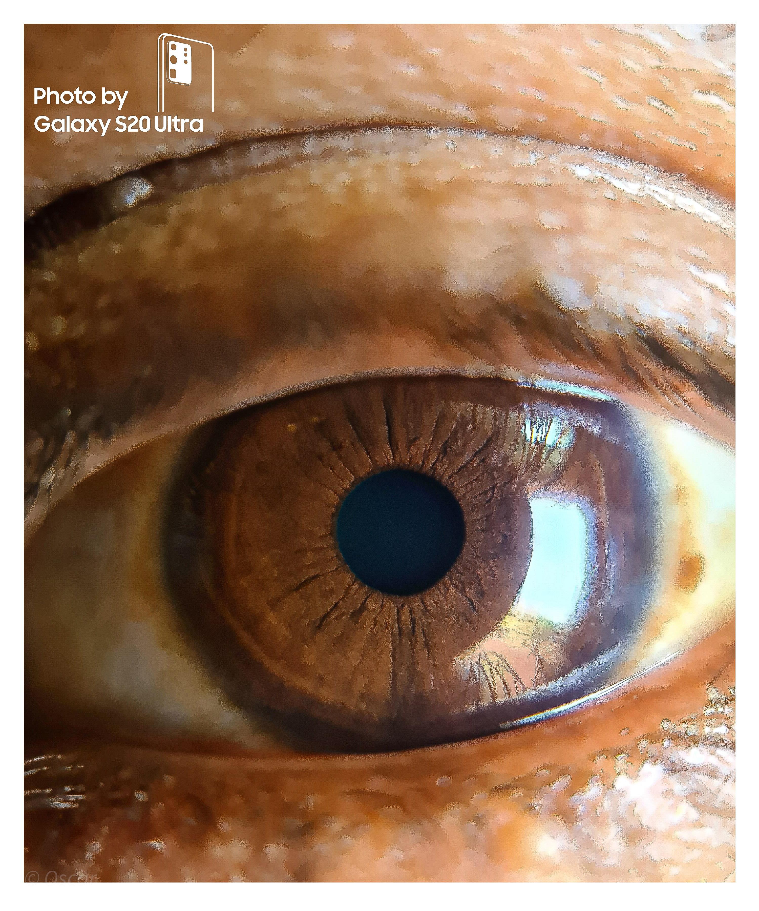 first pic from Moment Macro | Scrolller