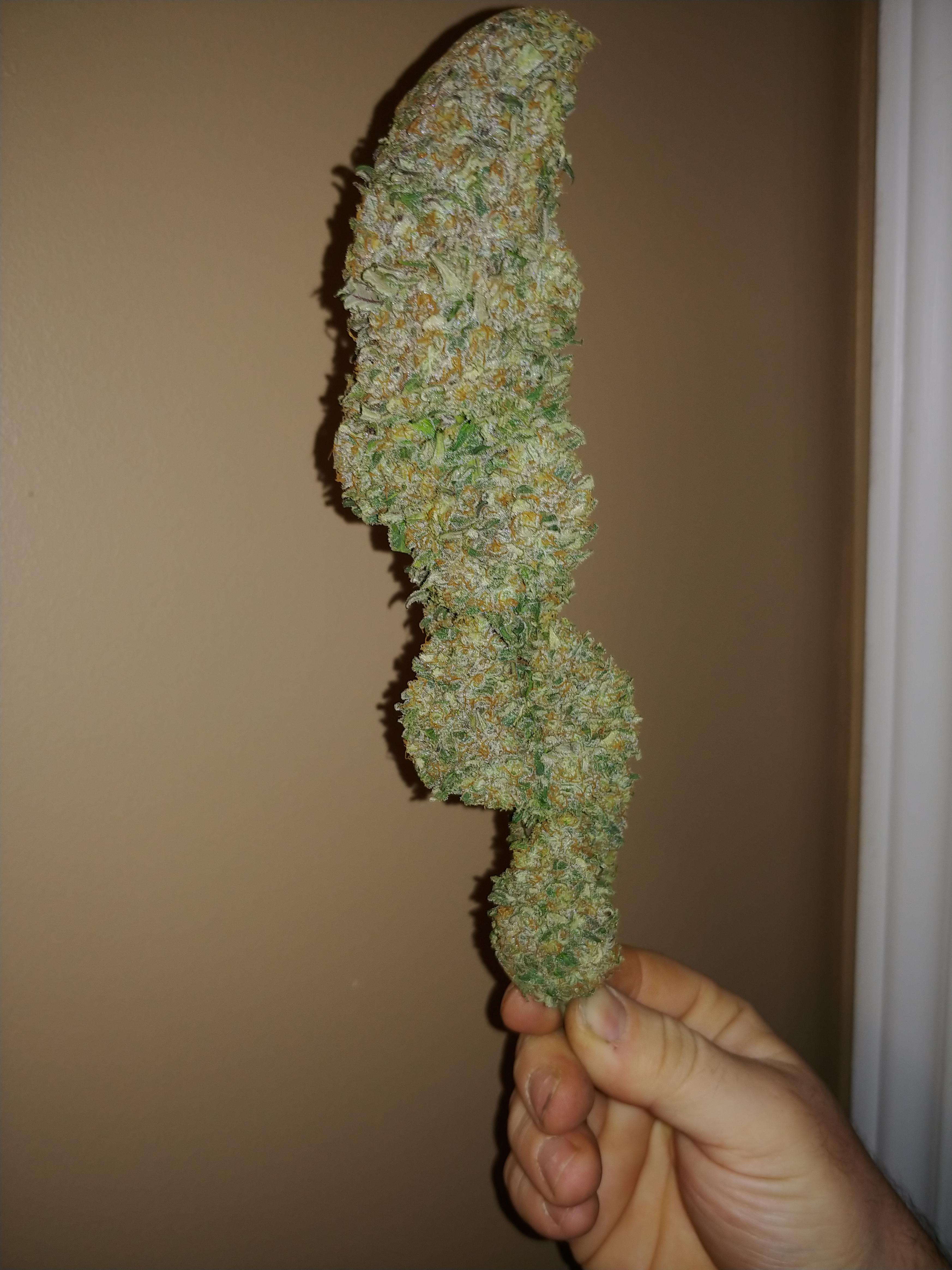 First plants main cola | Scrolller