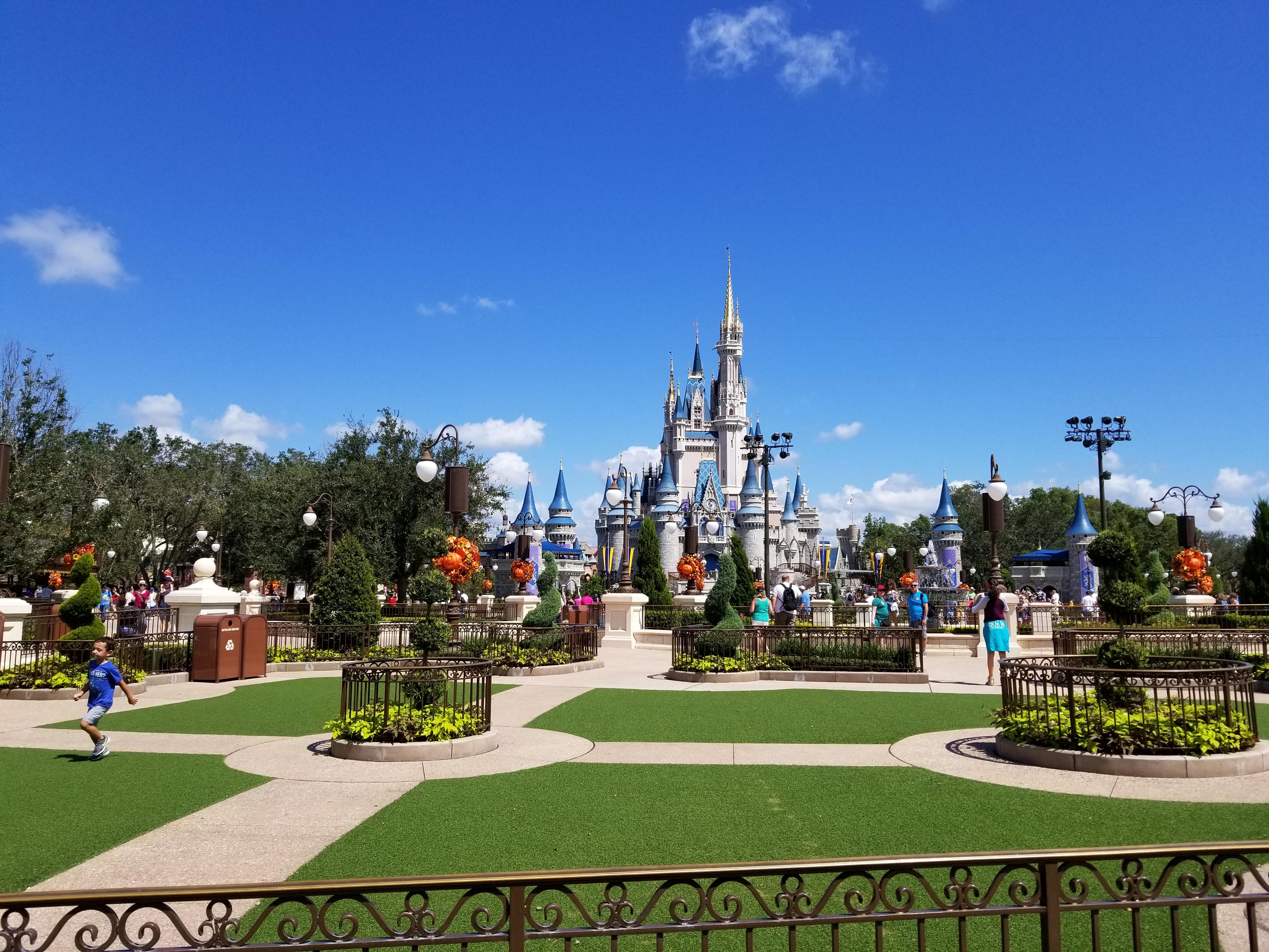 First Saturday after Hurricane Irma. | Scrolller