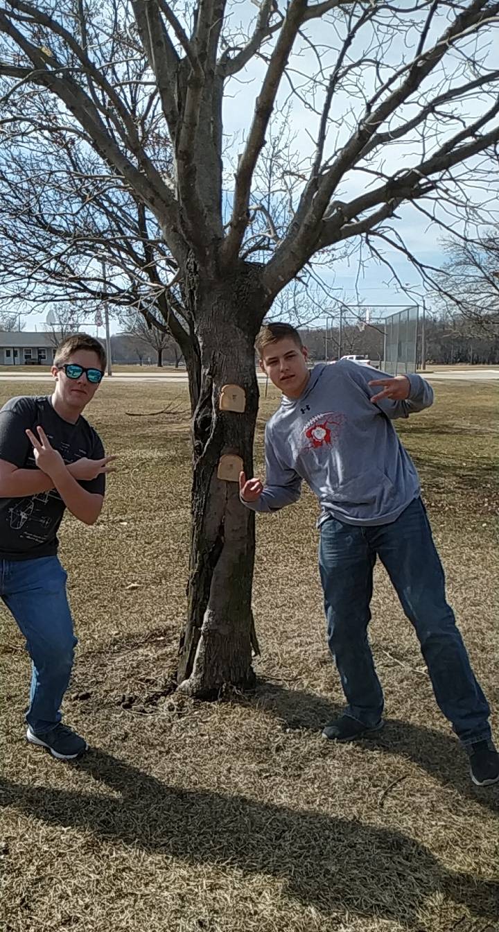 First staple | Scrolller