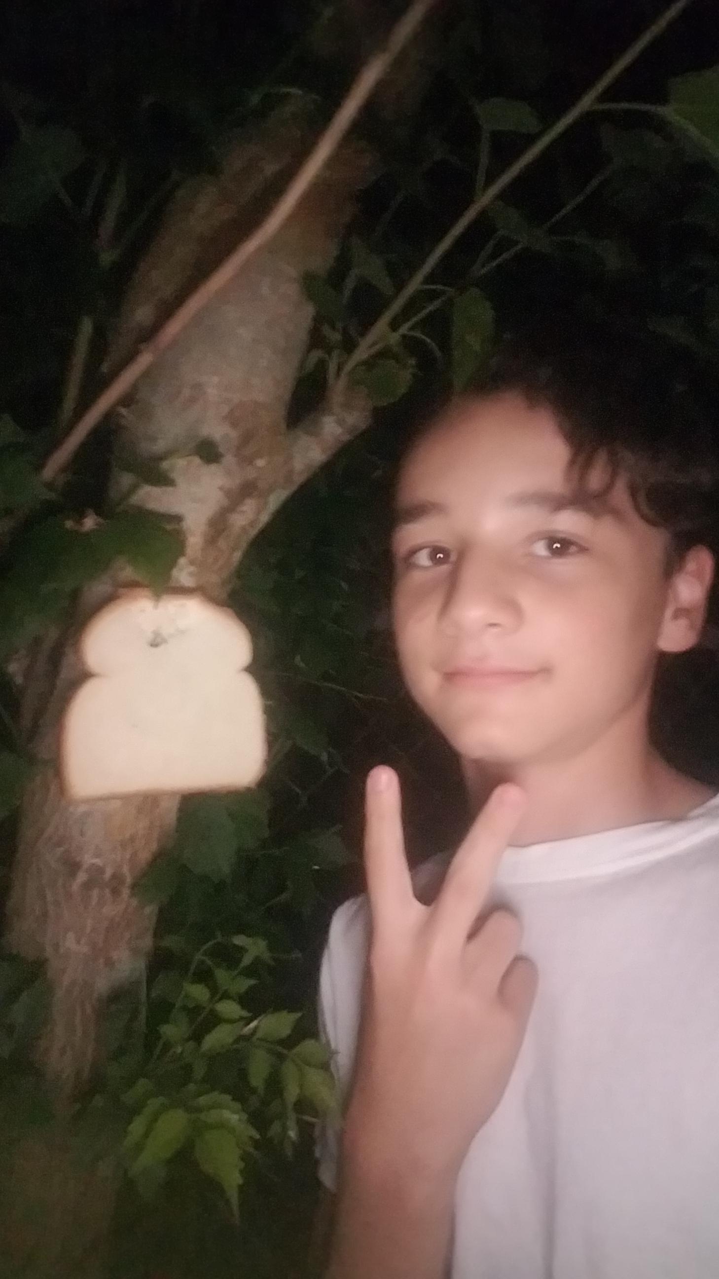 First staple | Scrolller