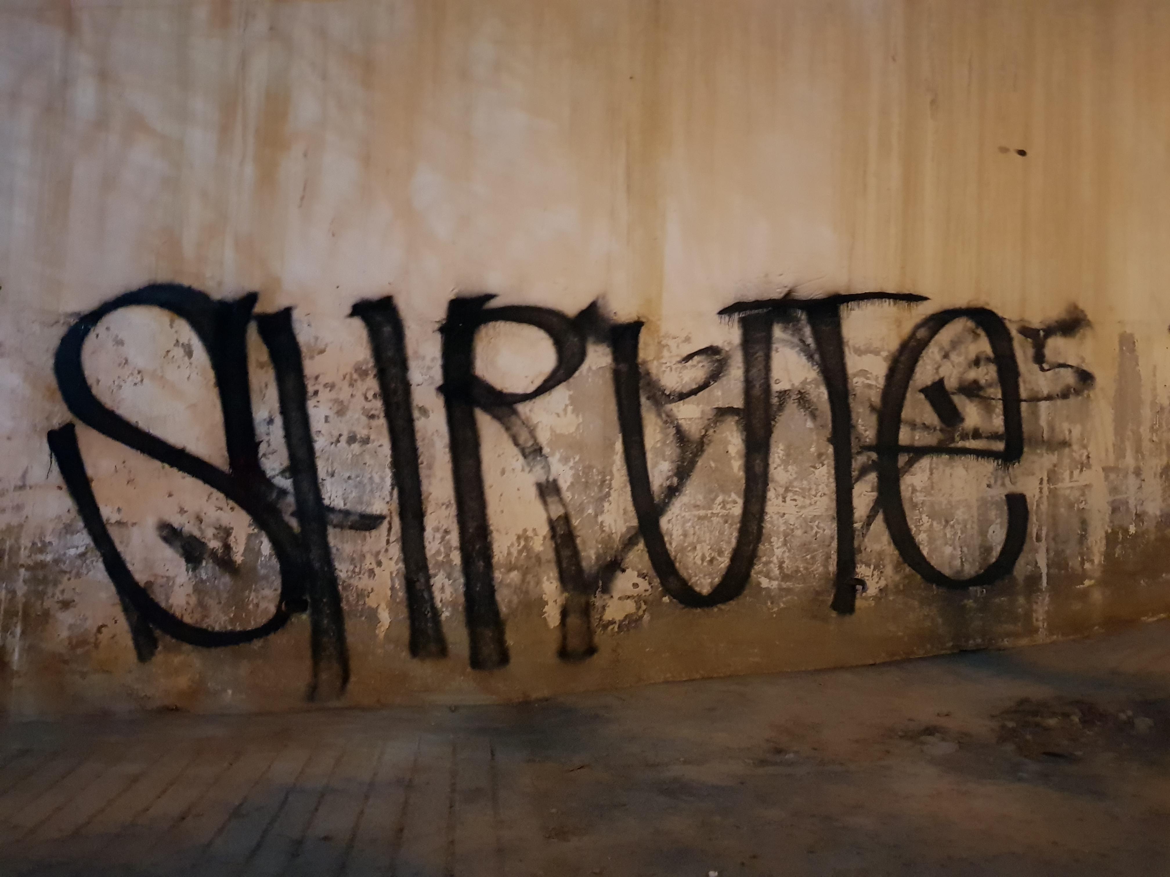 First tag! | Scrolller