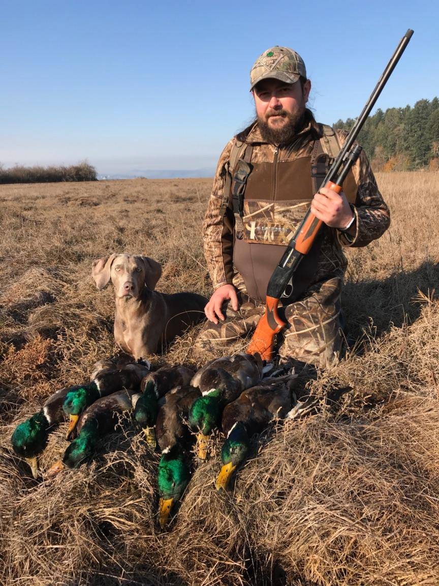 First Time Hunting Over A Hunting Dog, Success! | Scrolller