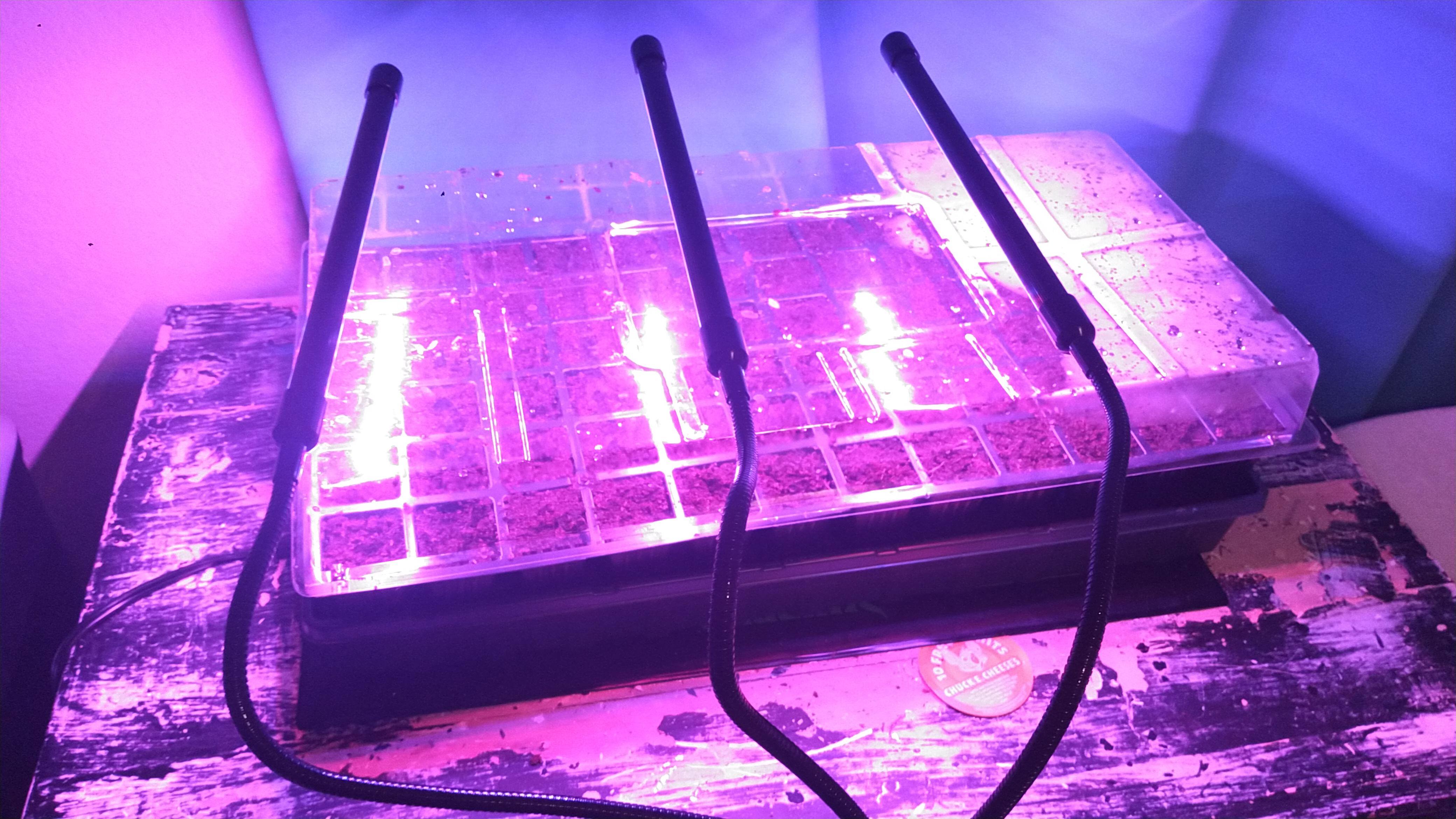 First year growing from seeds, second year patio gardening. Any suggestions? | Scrolller