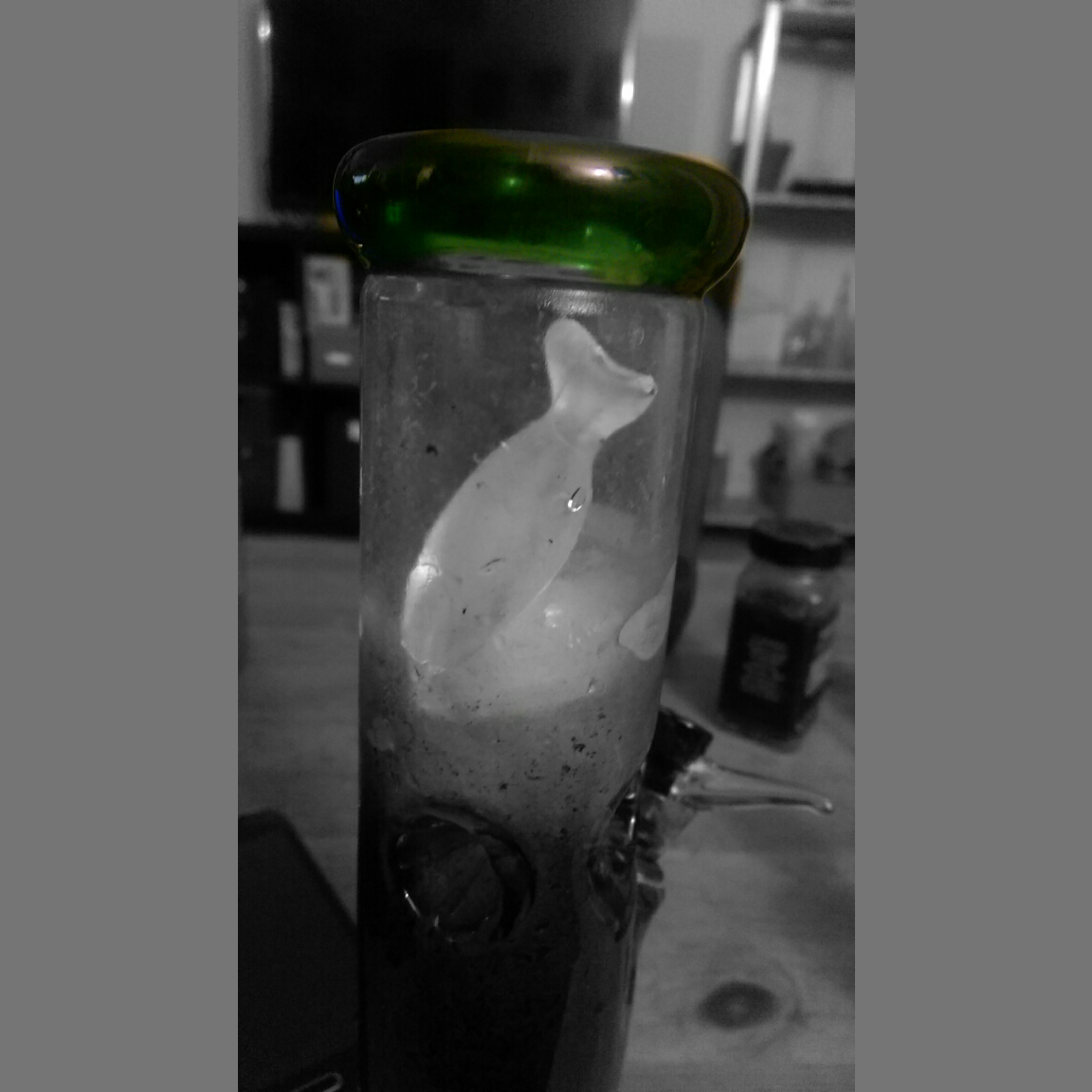 Fish in my bong! | Scrolller