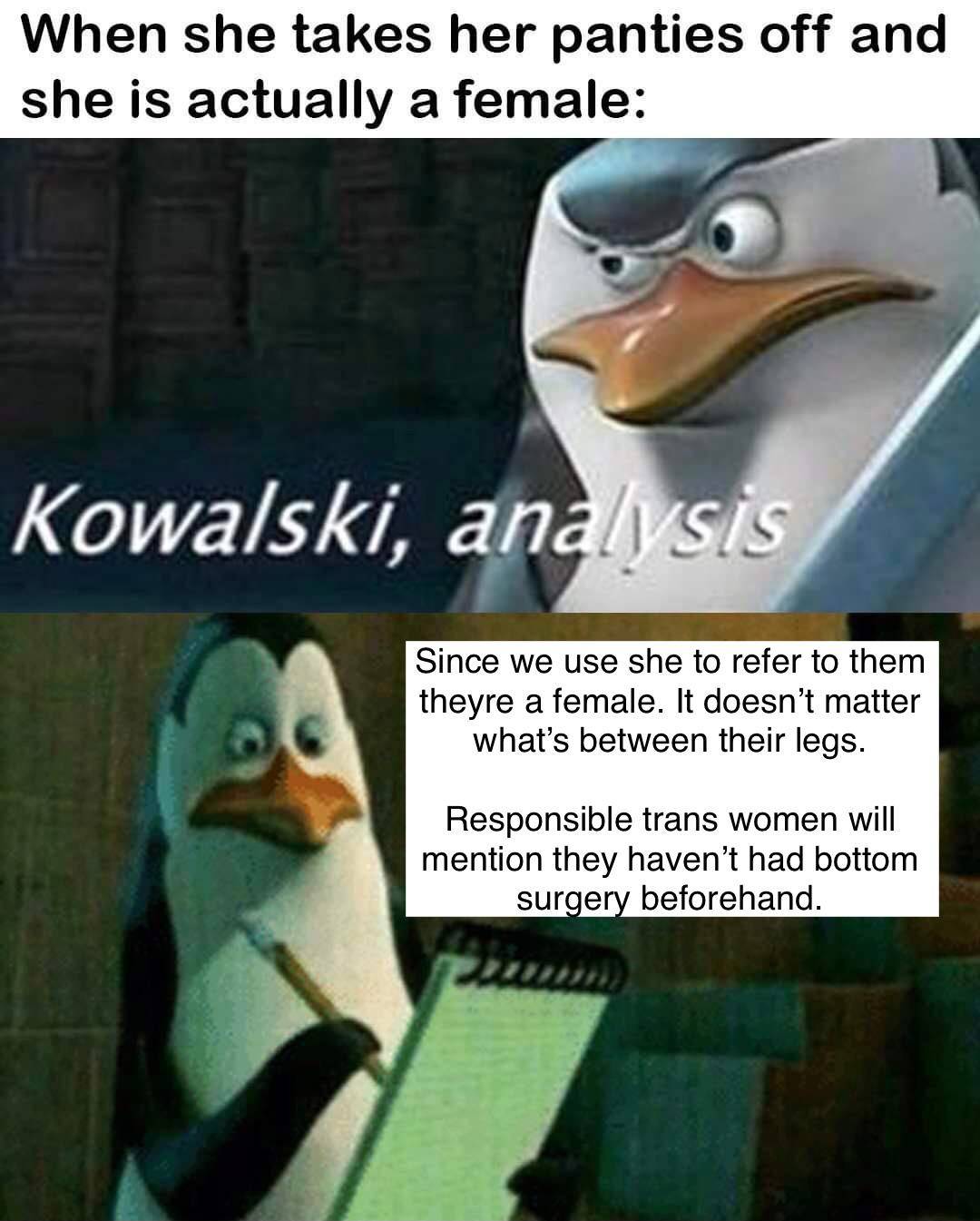 Fixed the meme. 🏳️‍⚧️ | Scrolller