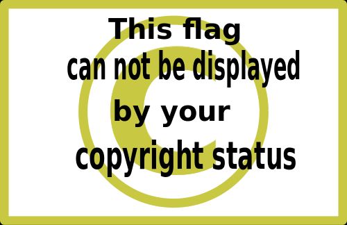 Flag of Netflix | Scrolller