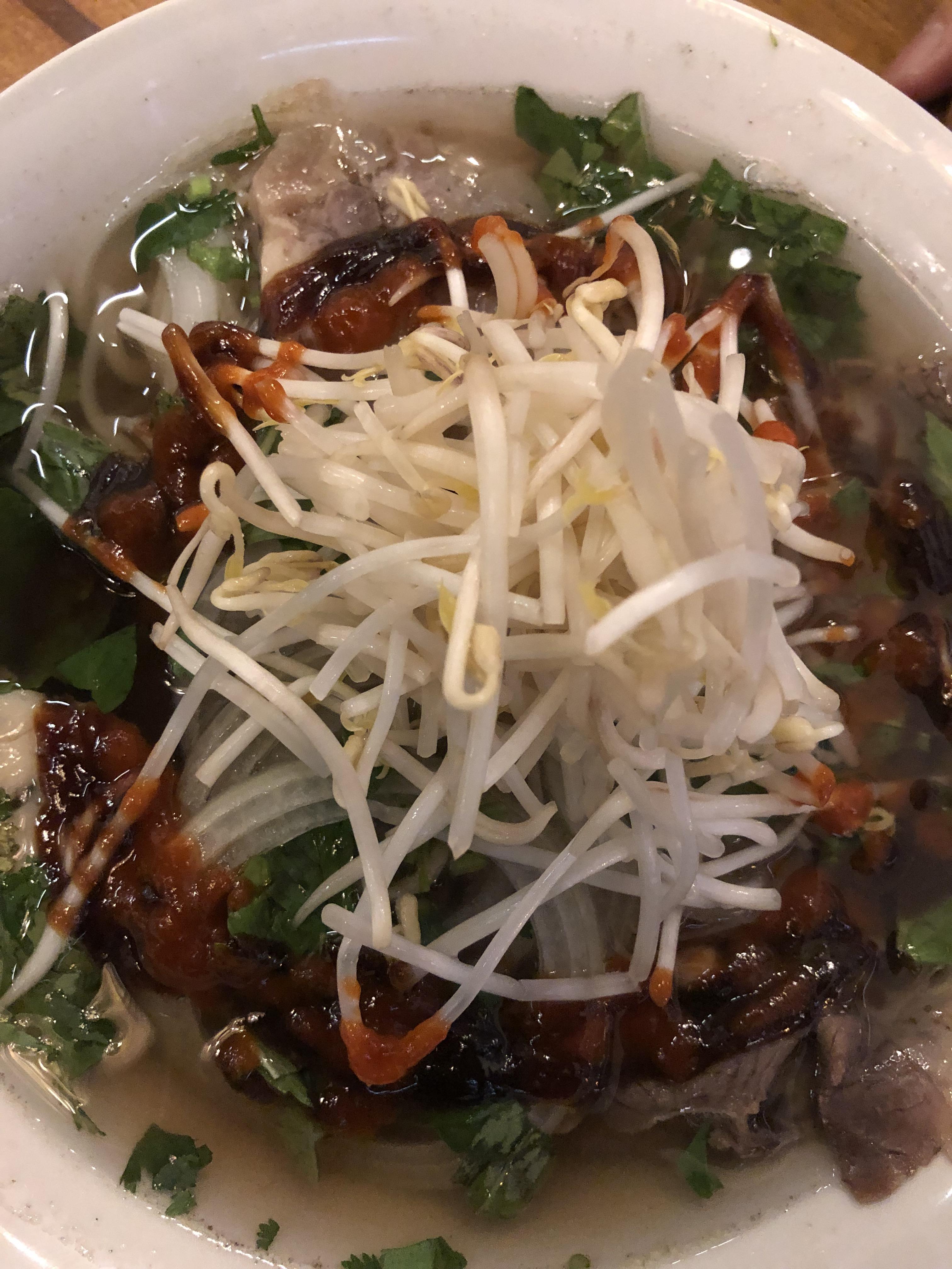 Flank, brisket, tendon and meatball pho with a mountain of bean sprouts | Scrolller