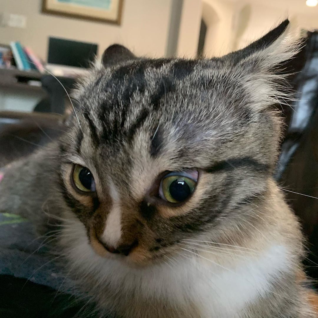 Flight Delayed Due to Visibility Issues | Scrolller