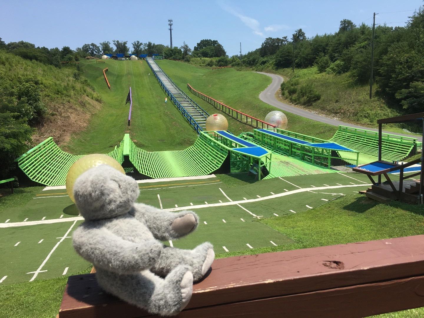 Flip the switch for the Smokey tumble | Scrolller