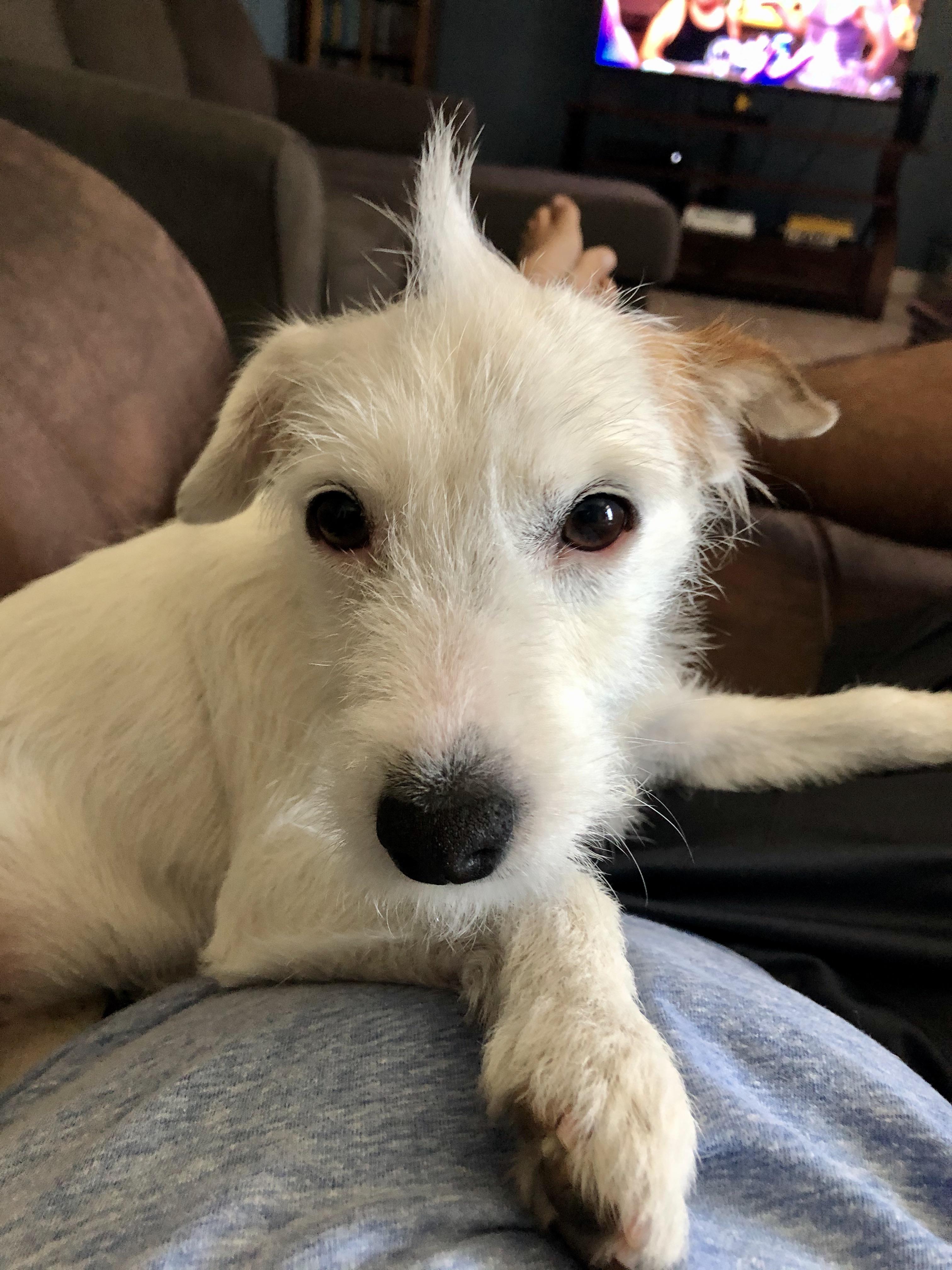 Flo’s Mohawk | Scrolller