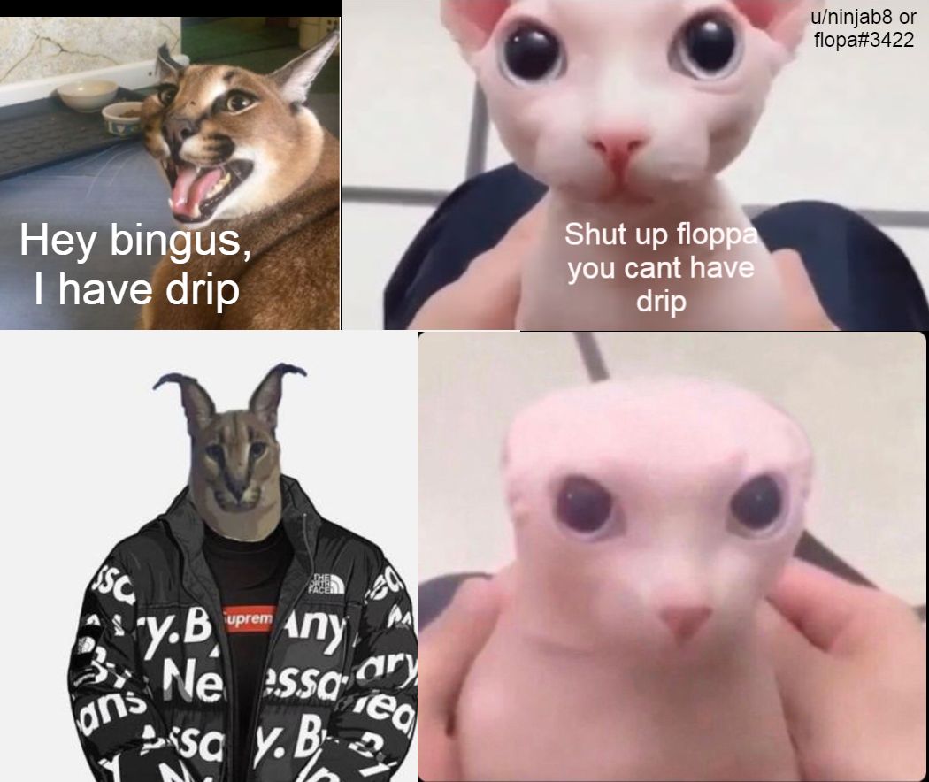 Floppa vs Bingus drip | Scrolller