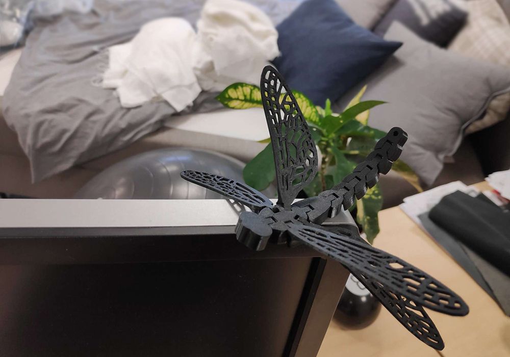 Floppy dragonfly | Scrolller
