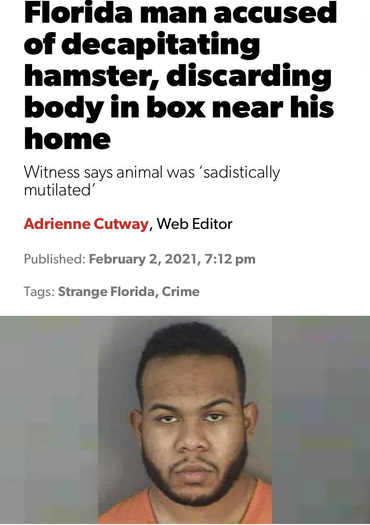 Florida man never disappoints | Scrolller