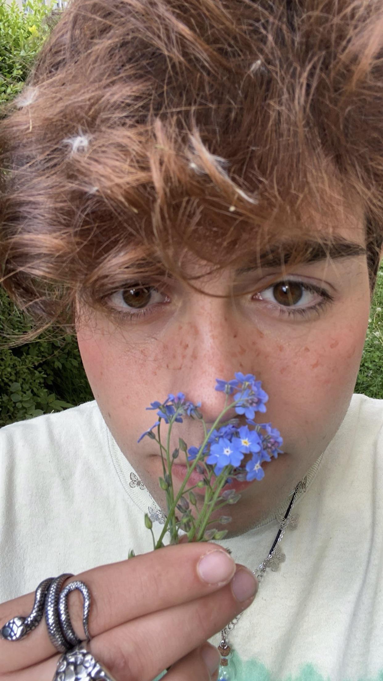 flower boy | Scrolller