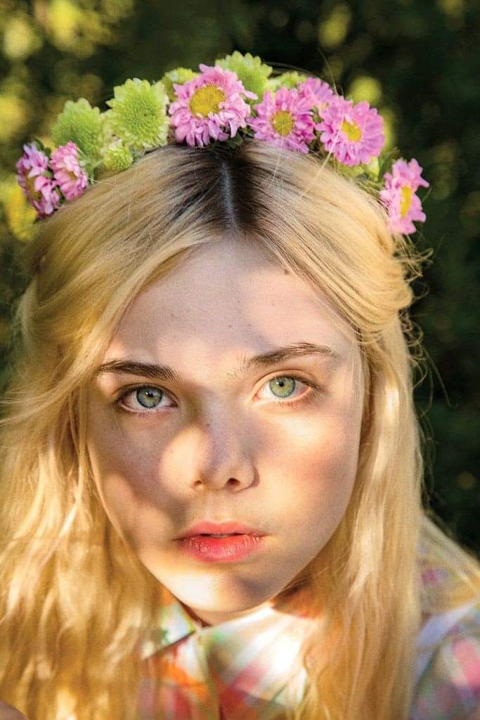 Flower Crown | Scrolller