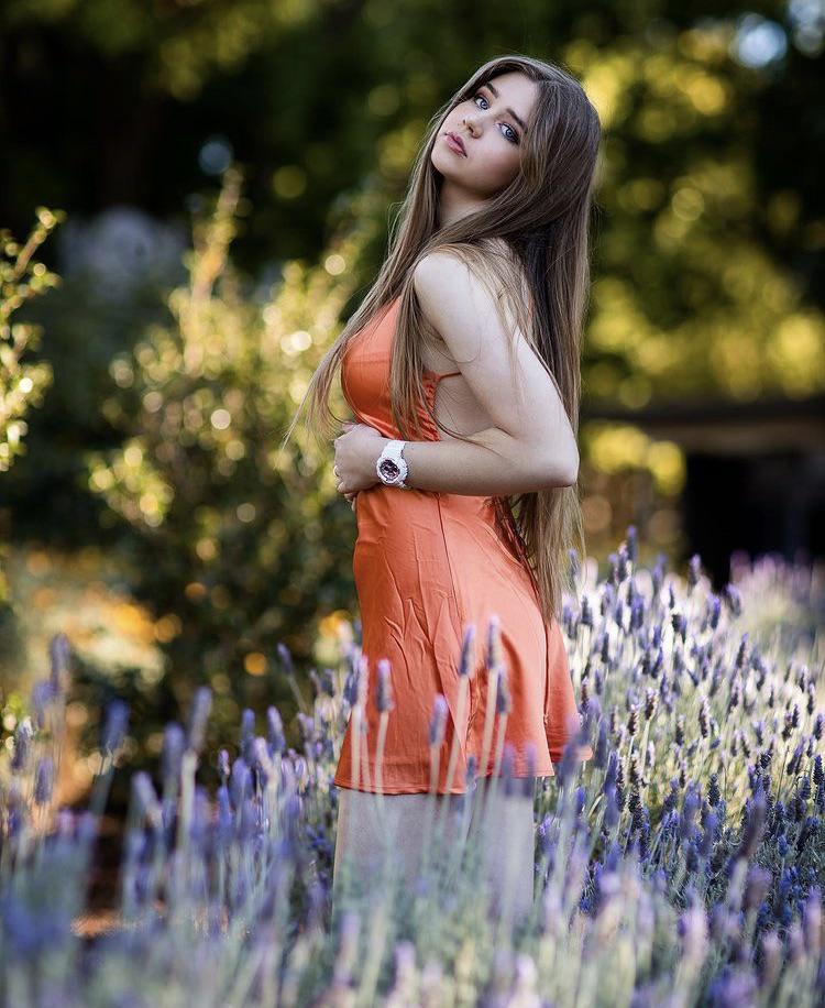 Flower Field | Scrolller