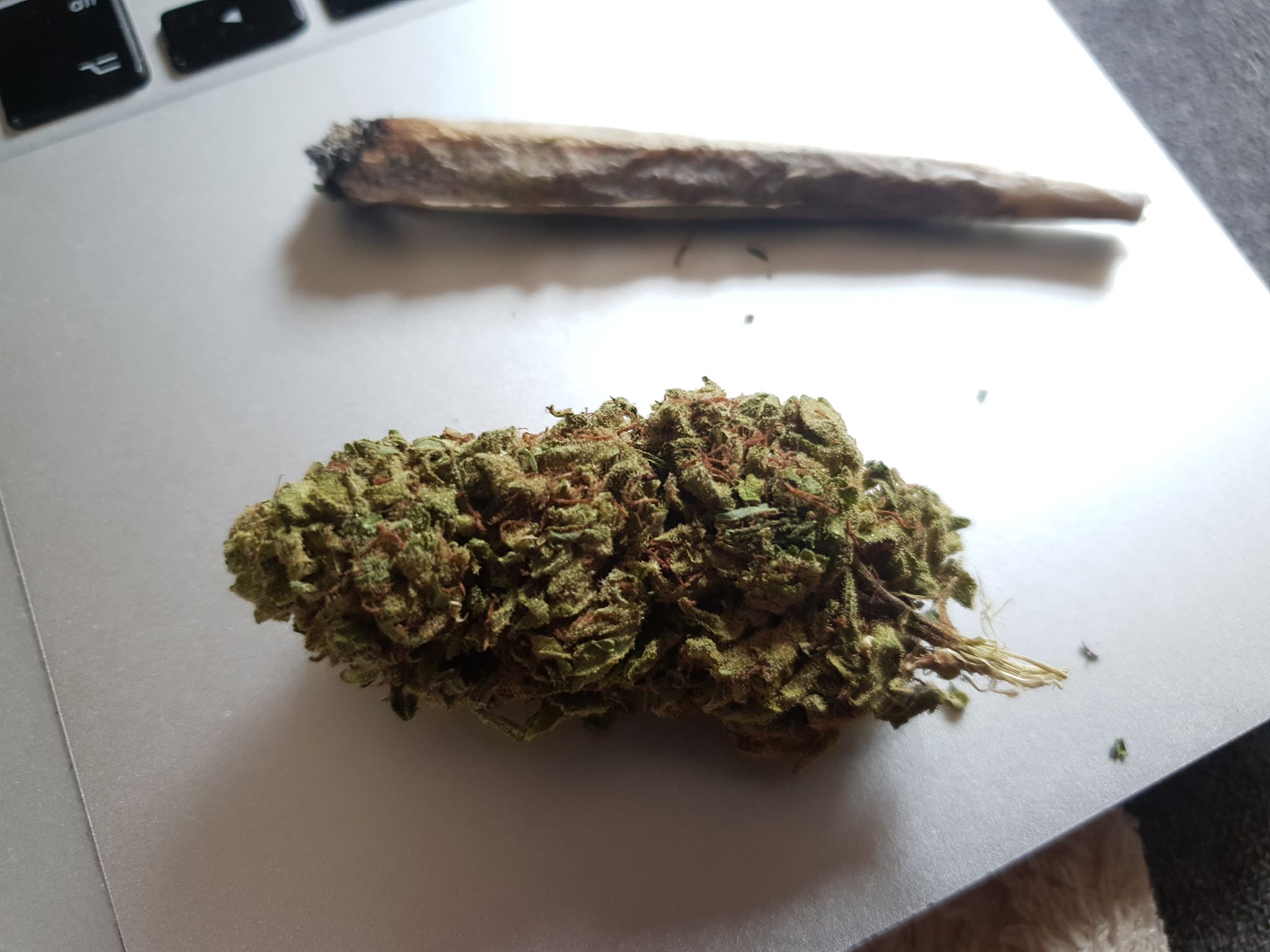 Flower Friday: Some beautiful CBD Bud! | Scrolller