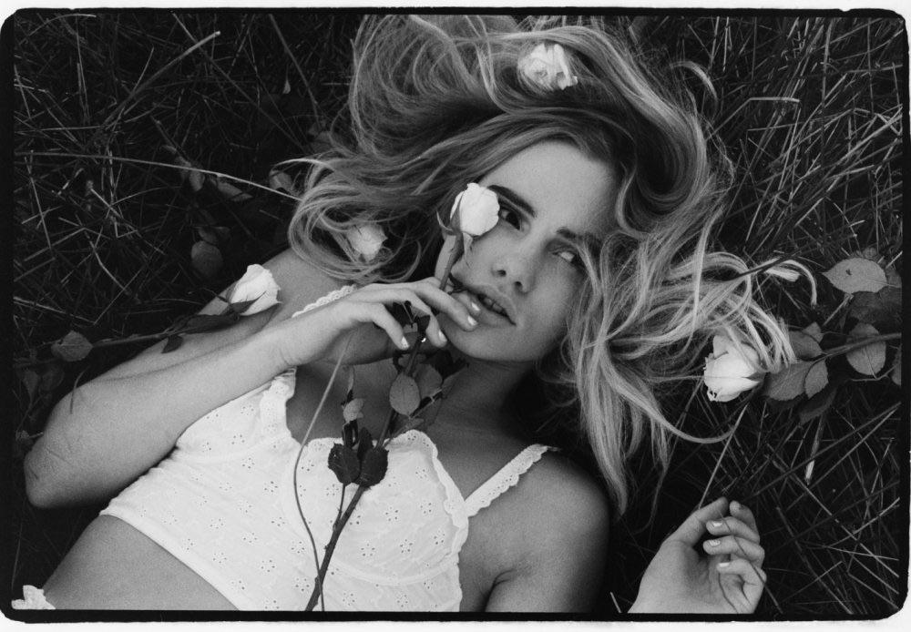 Flower power | Scrolller