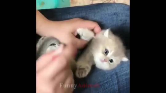 fluffy cloud | Scrolller