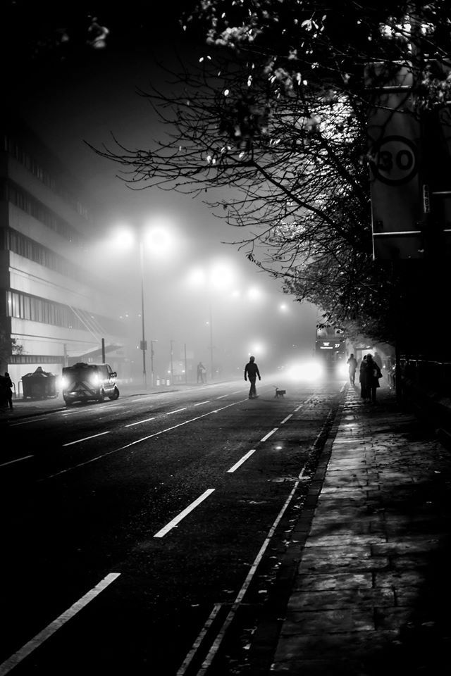 Fog last night | Scrolller