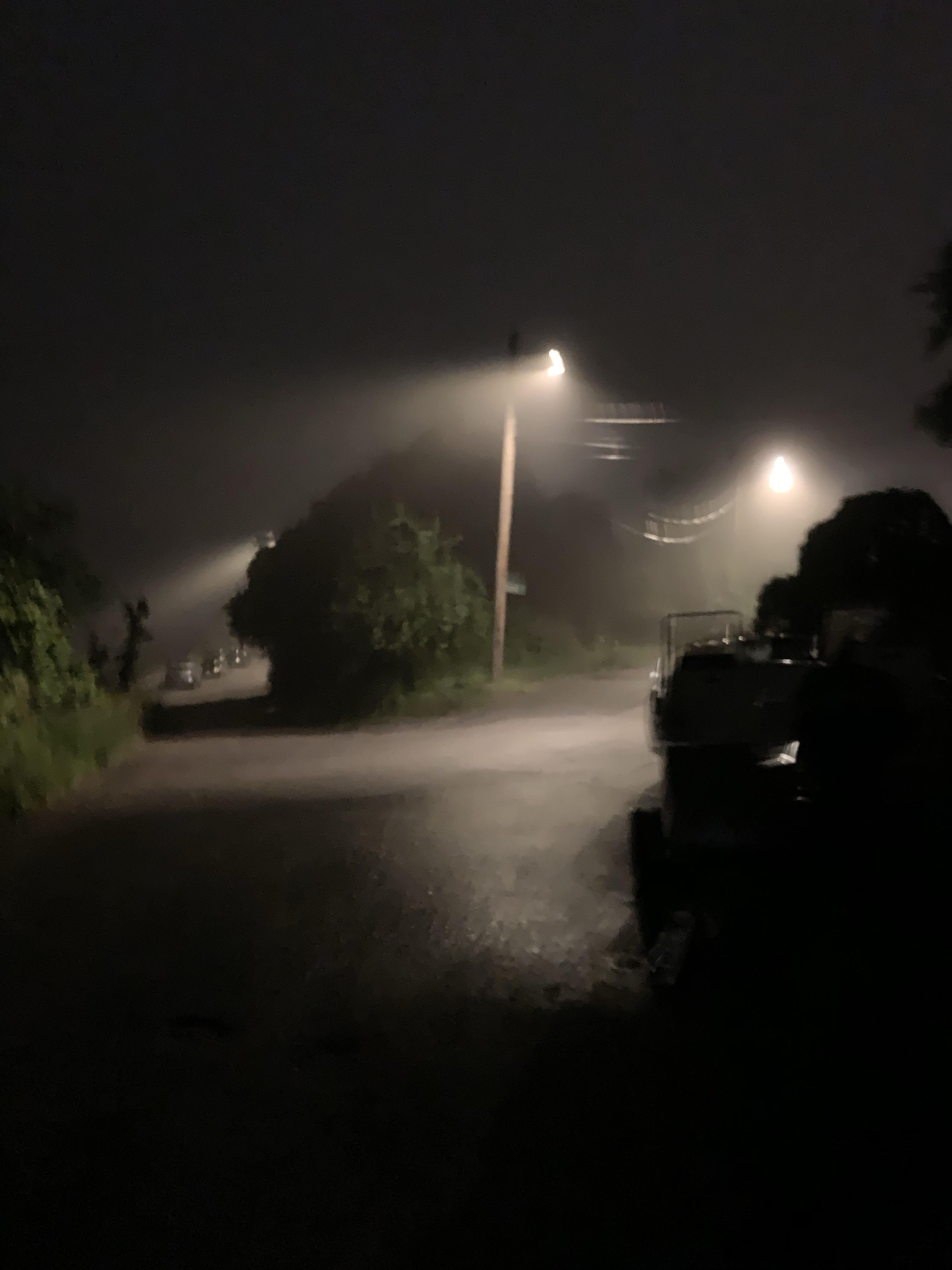 Fog Of Mind | Scrolller