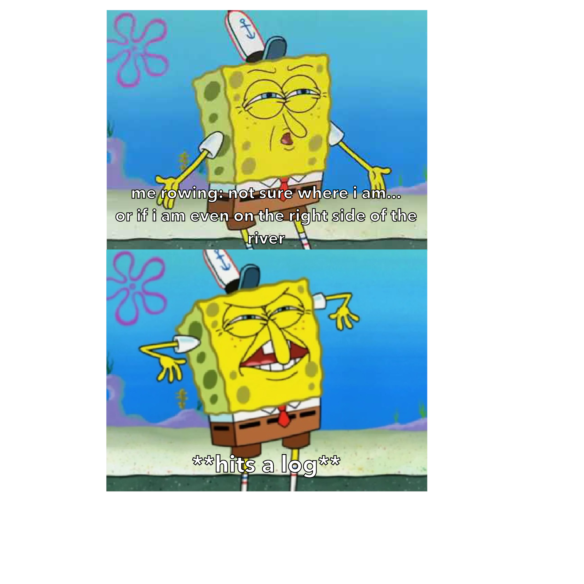 Foggy days be like... | Scrolller