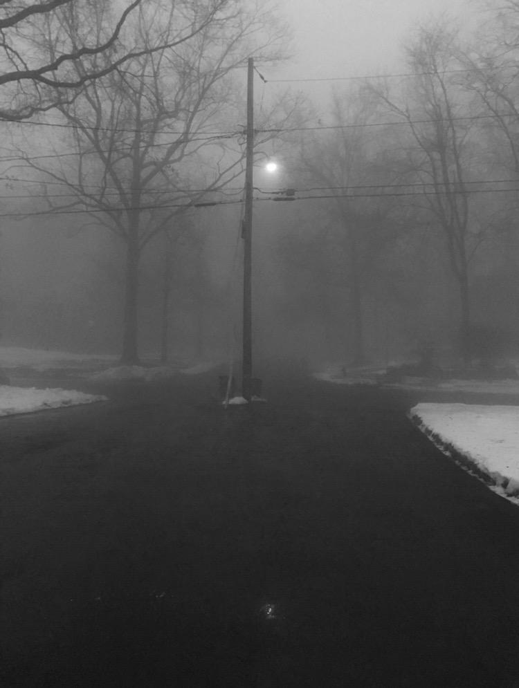 Foggy morning | Scrolller