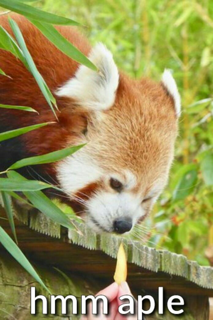 food_irl | Scrolller