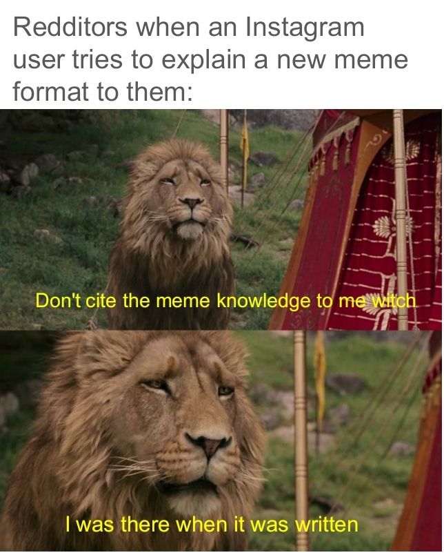 For Aslan and for OC maymays | Scrolller