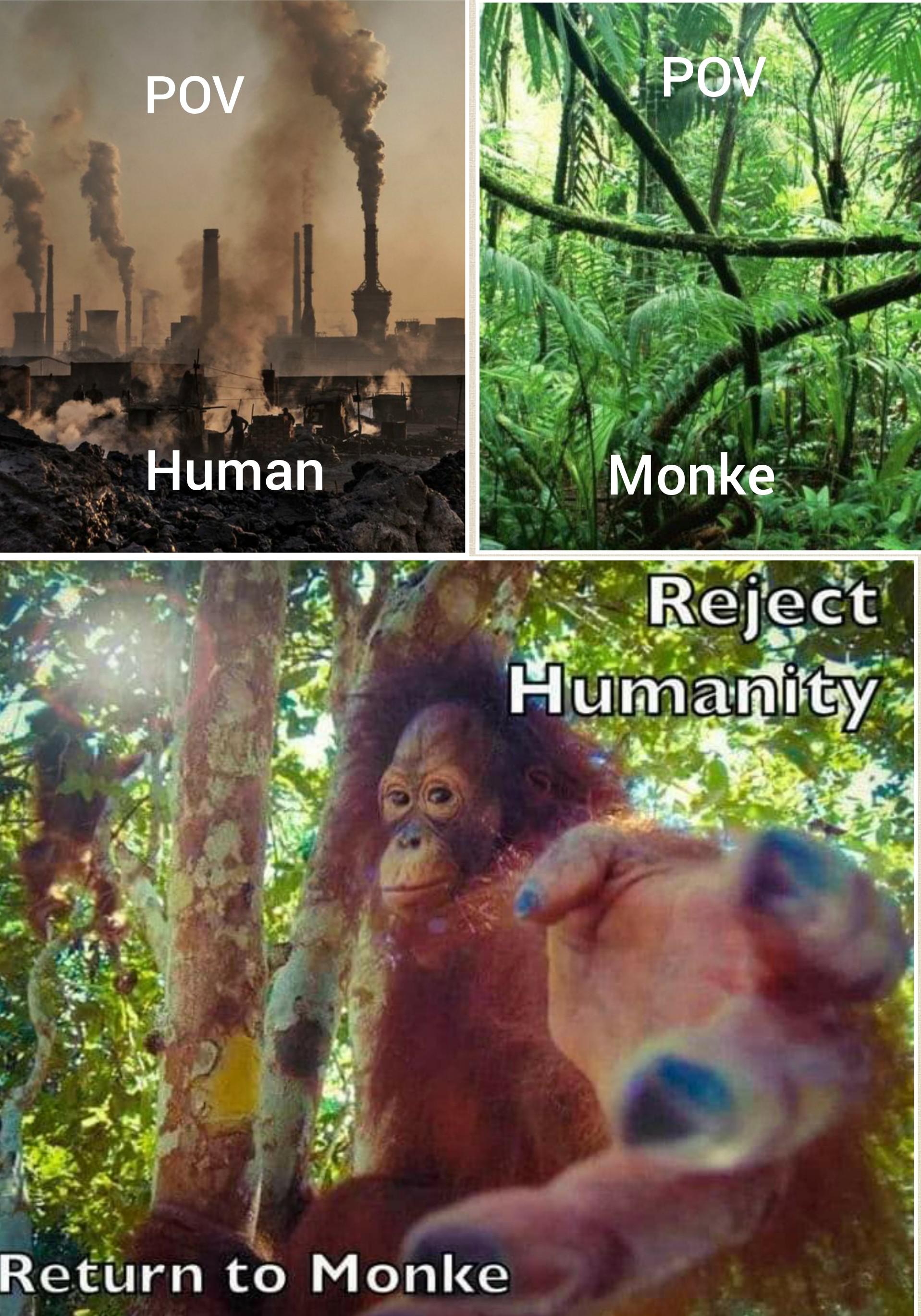 For harambe | Scrolller