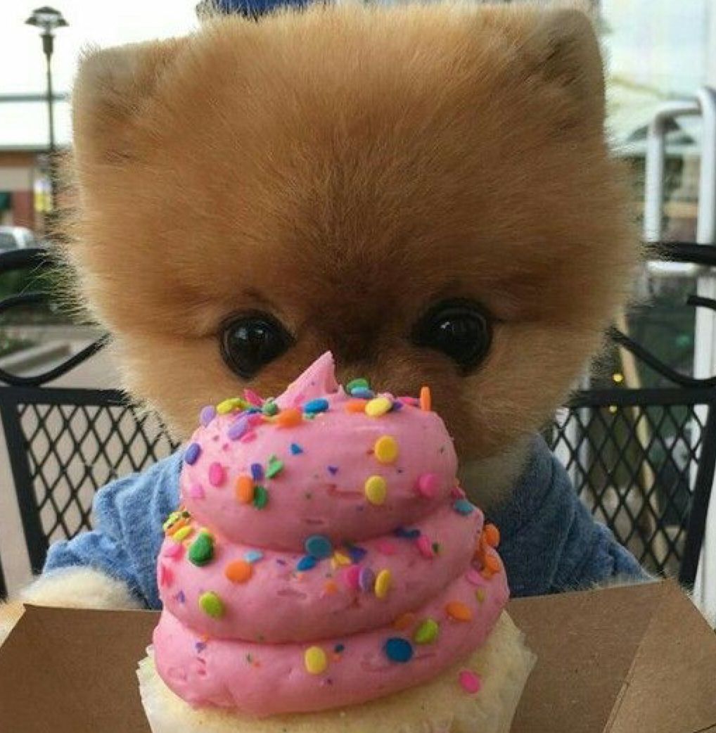 For some reason, I just love sweets | Scrolller