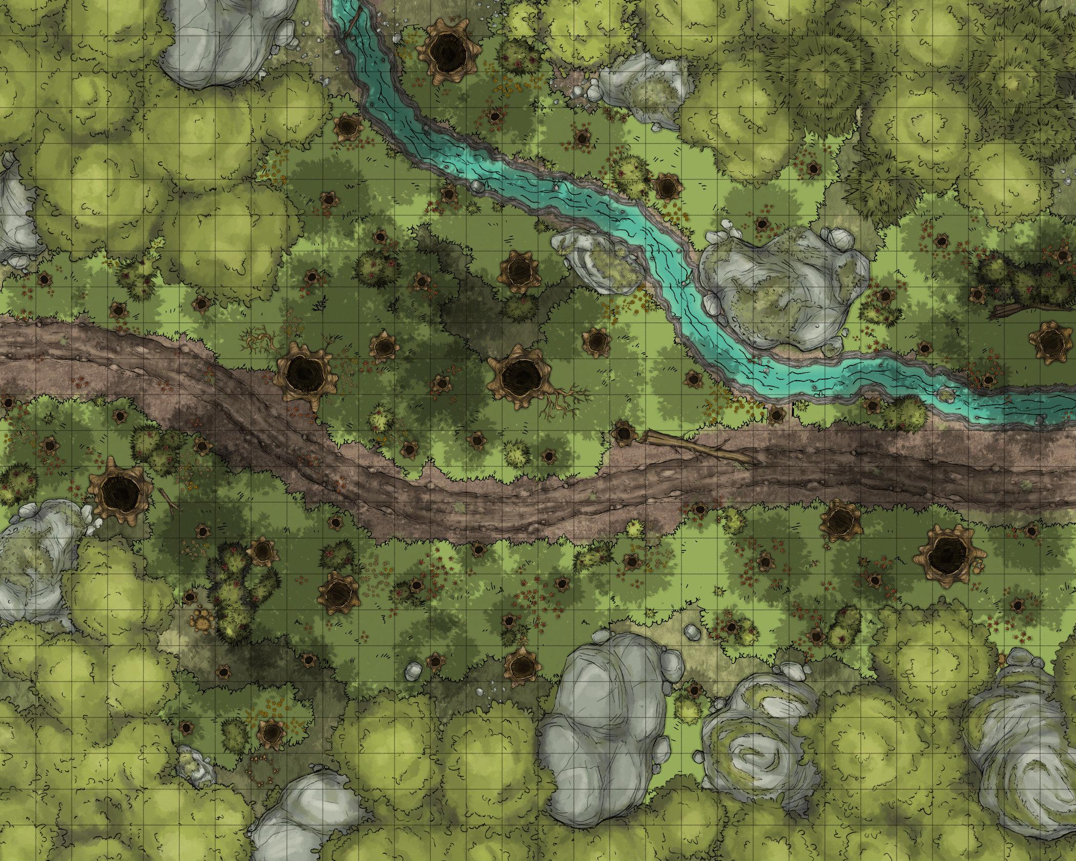 Forest Path [30x24] | Scrolller