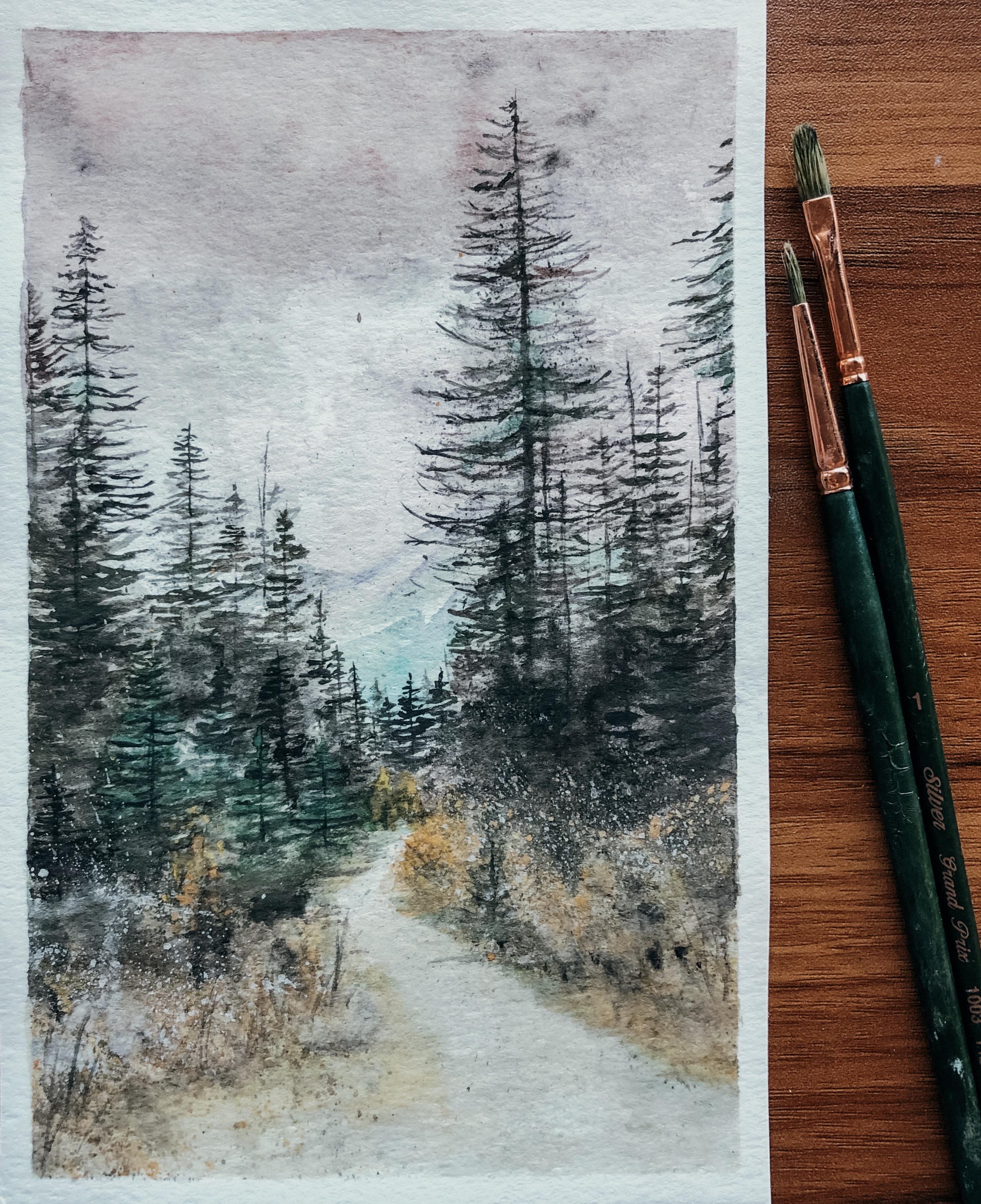 Forest pathway | Scrolller