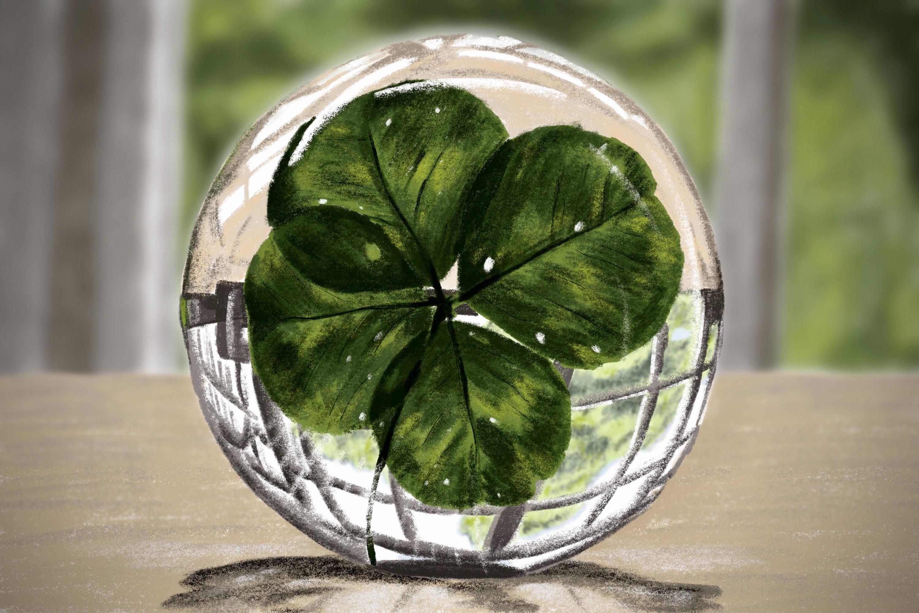 Four-leaf clover in glass. Still learning. | Scrolller