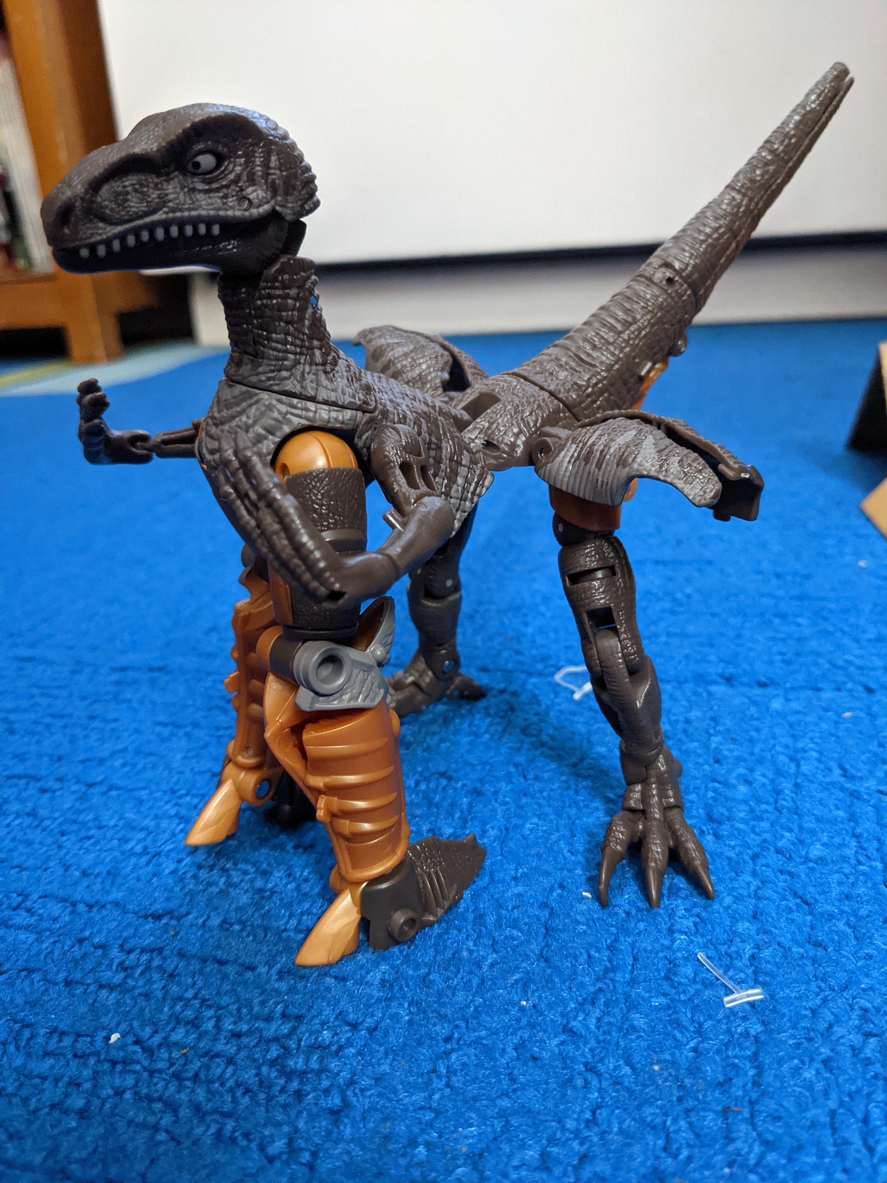 Four legged raptor | Scrolller