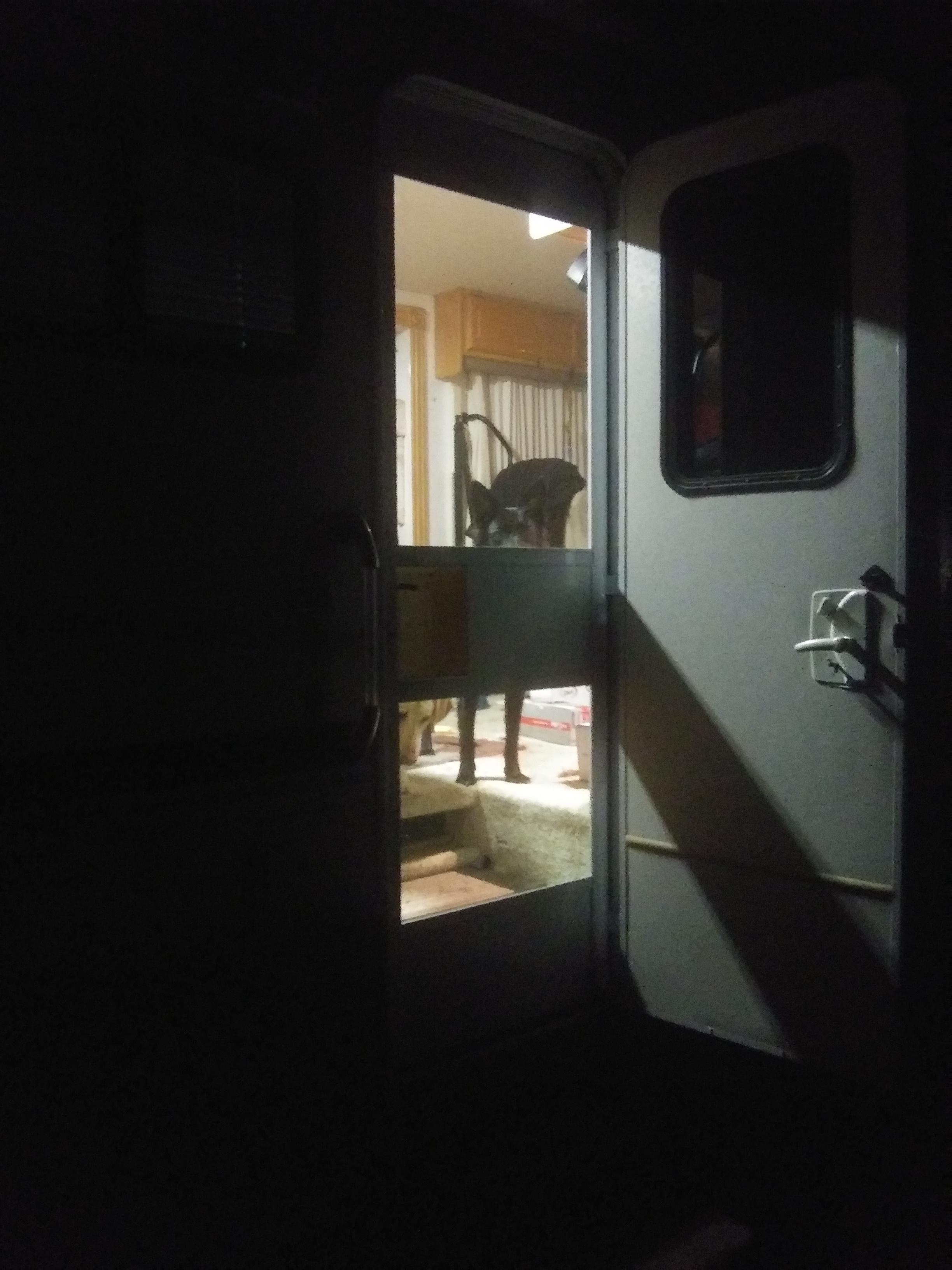 Fox eared a-hole knows we are having S'mores without her. Totally unacceptable. | Scrolller