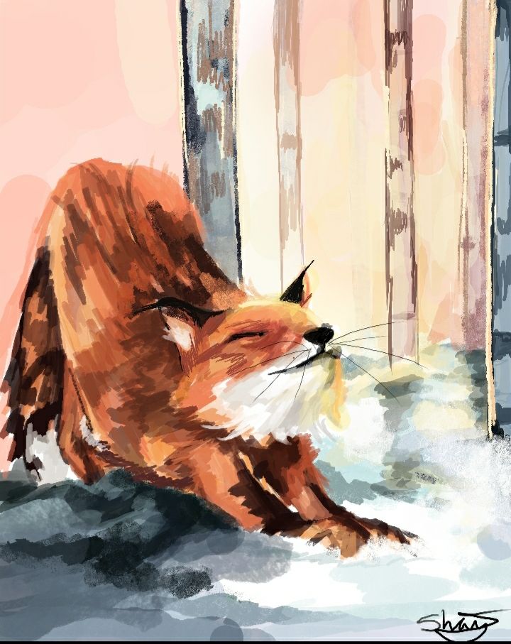 Foxes are superior | Scrolller